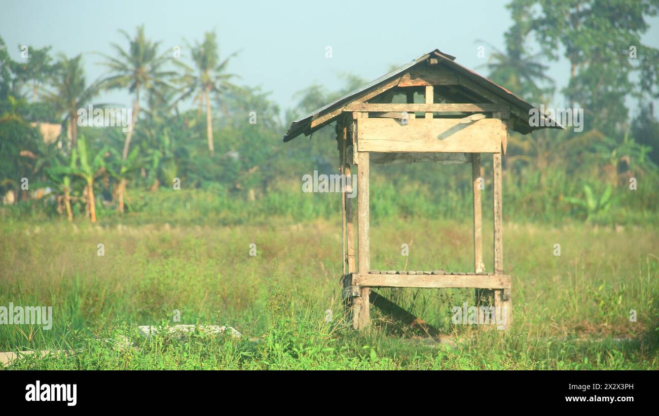Simple buildings and huts made of wood and roofs made of sago leaves ...