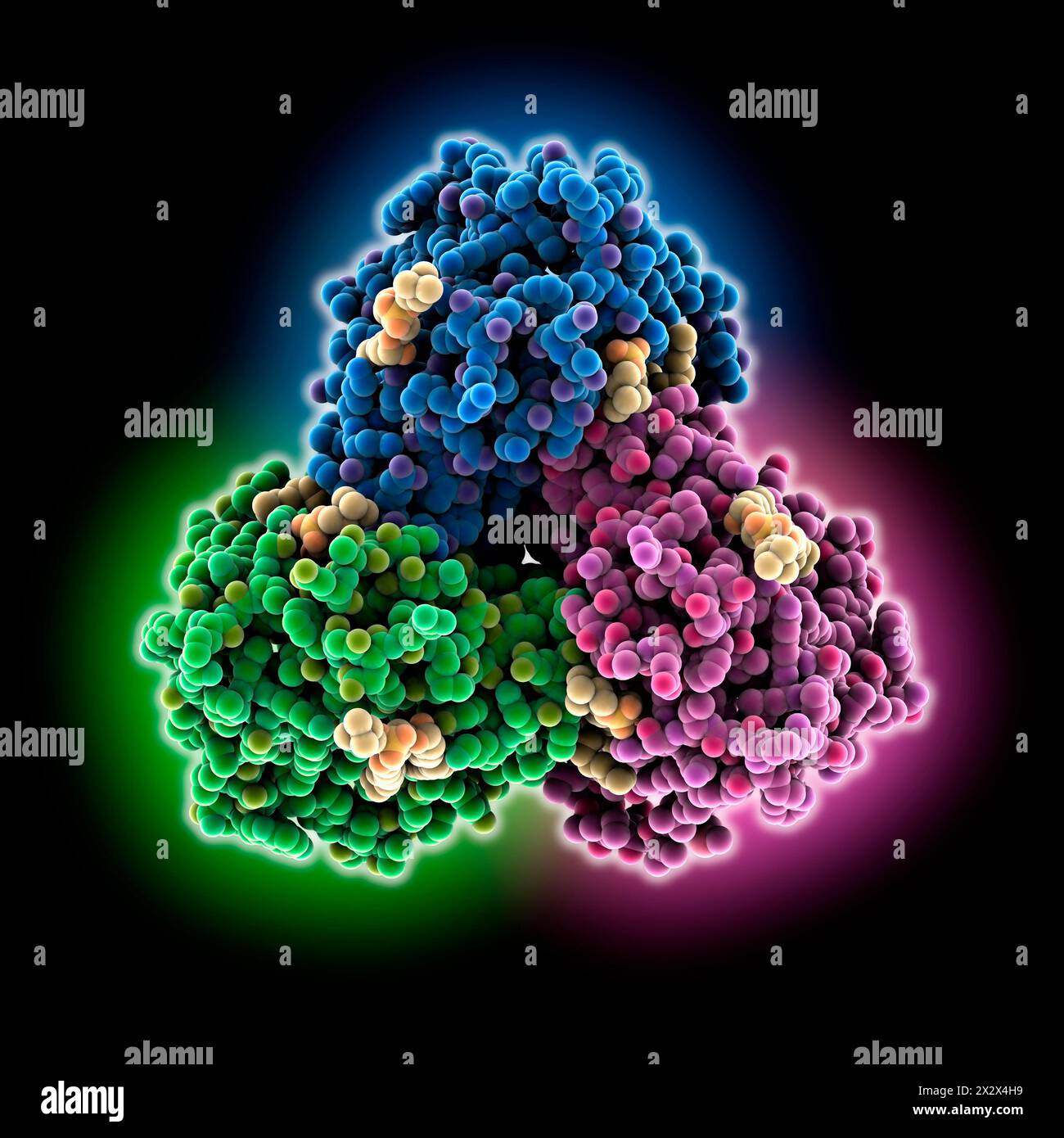Heme A synthase trimer from Aquifex aeolicus. Molecular model of the ...