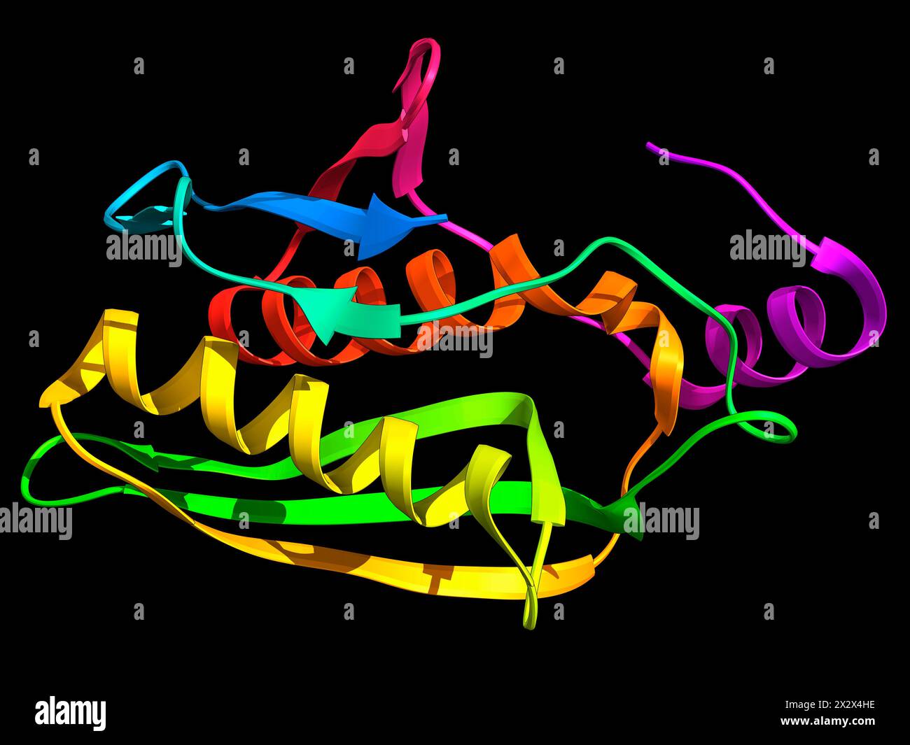 Human archease. Molecular model of the human archease, a key cofactor ...