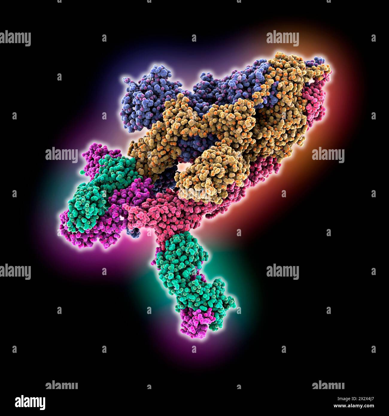 SARS-CoV-2 Omicron spike trimer complex. Molecular model of a SARS-CoV ...