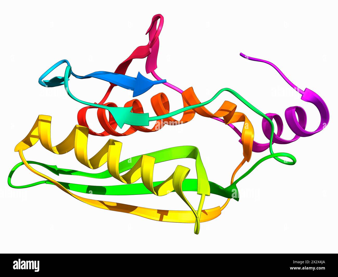 Human archease. Molecular model of the human archease, a key cofactor ...