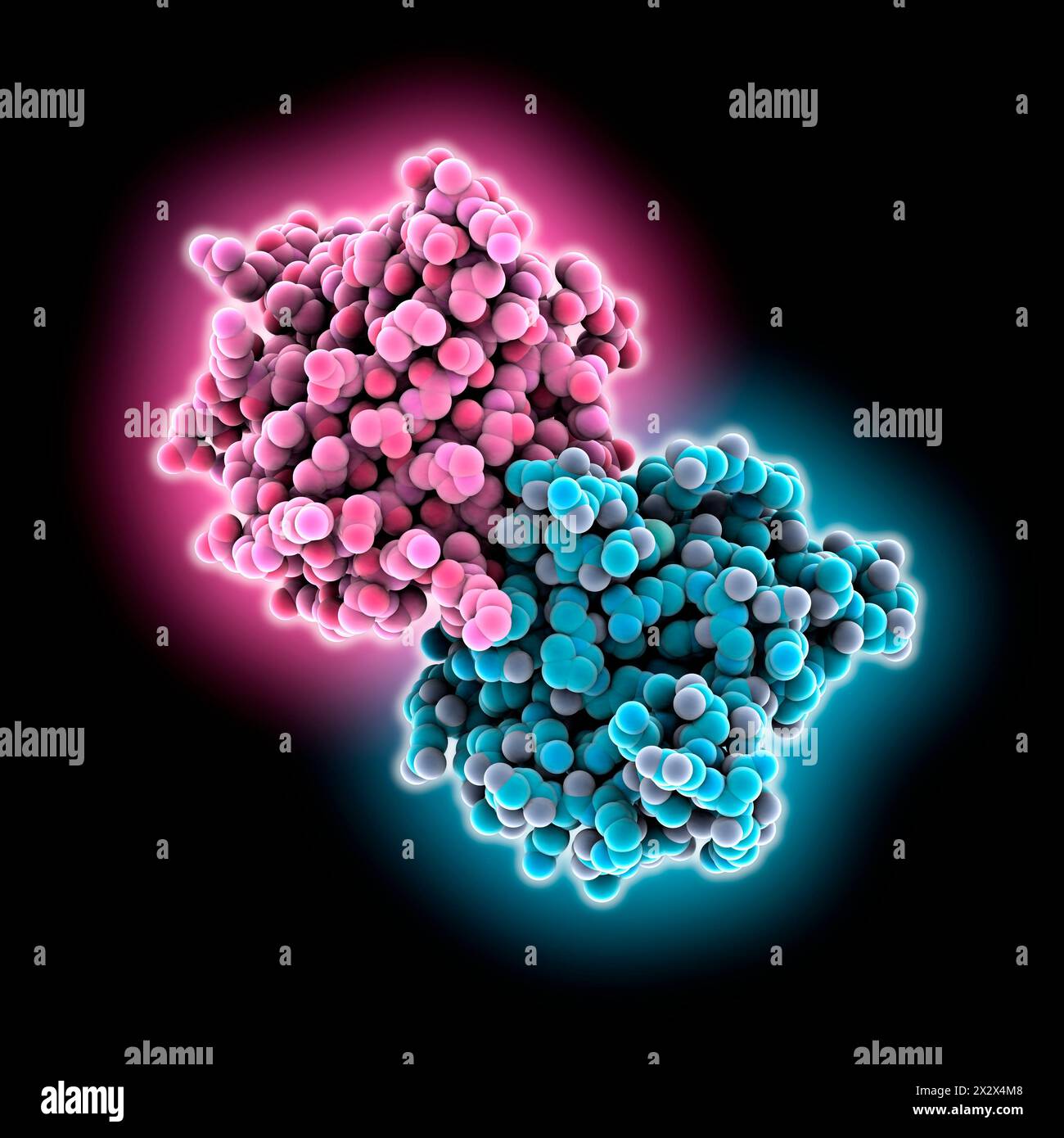 Hydrogen sulfide-bound superoxide dismutase. Molecular model of ...