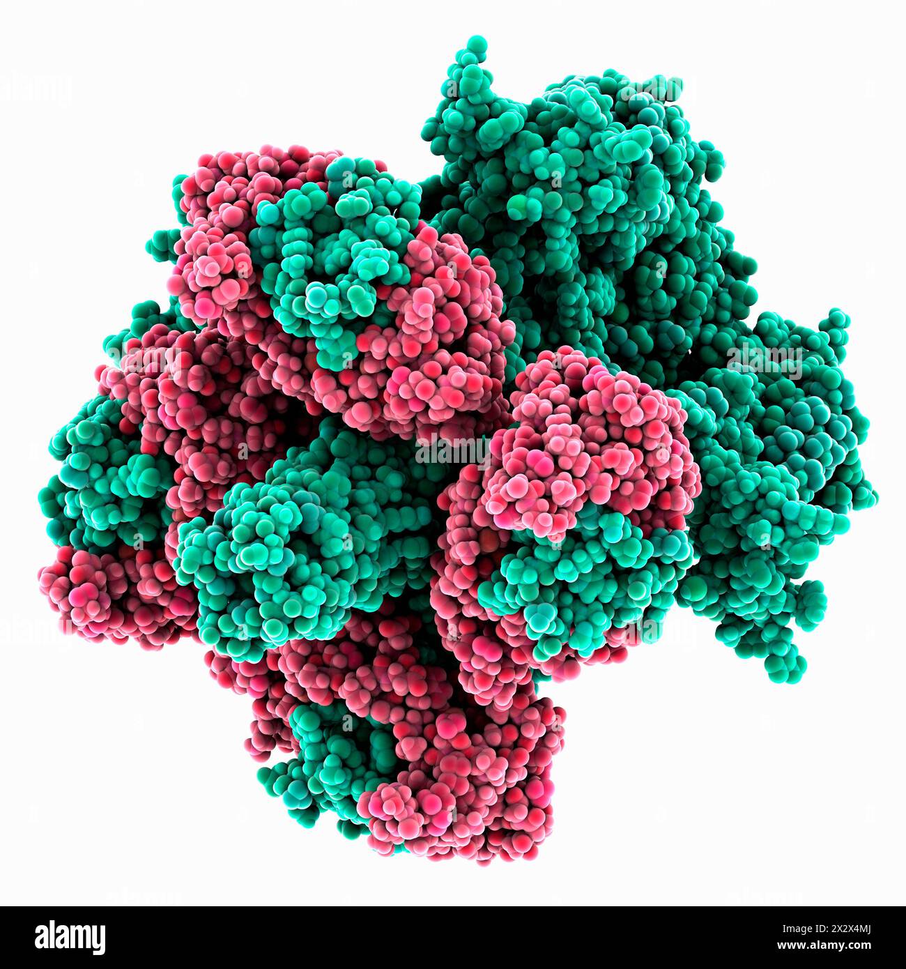 Potassium voltage-gated channel subfamily KQT member 2 in complex with ...