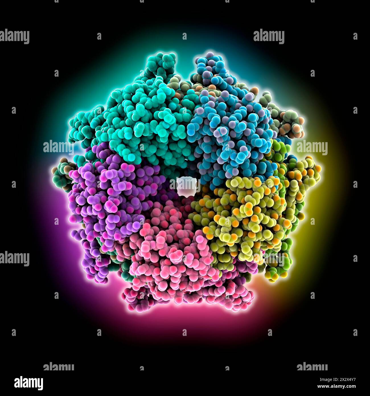 E. coli cyanase. Molecular model of cyanase from Escherichia coli BL21 ...