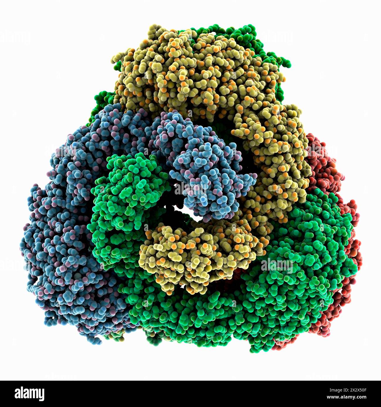 Heat repeat protein. Molecular model of the DNA repair/transcription ...
