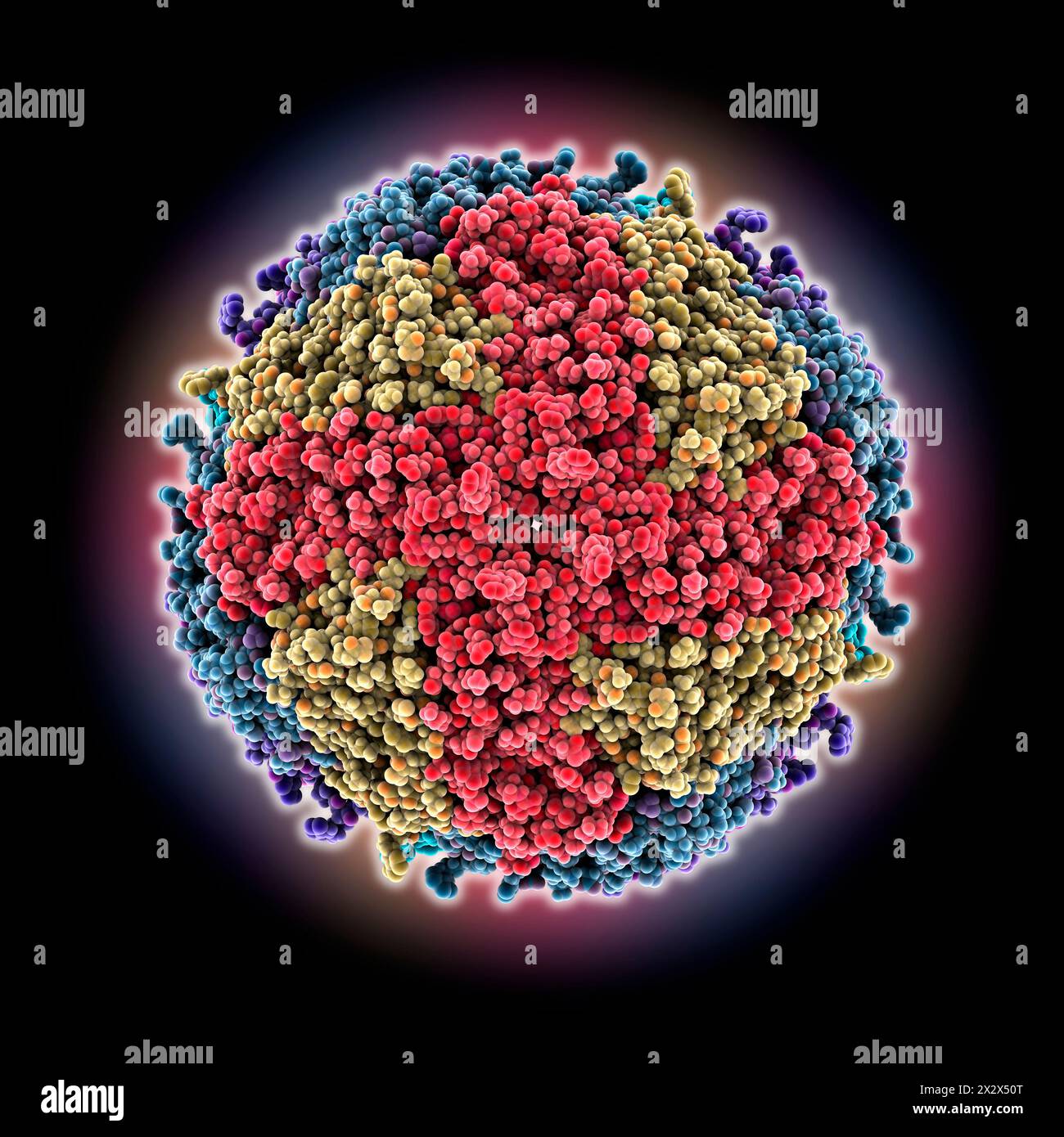 Ferritin heavy chain biomacromolecule assembly. Molecular model of a ...