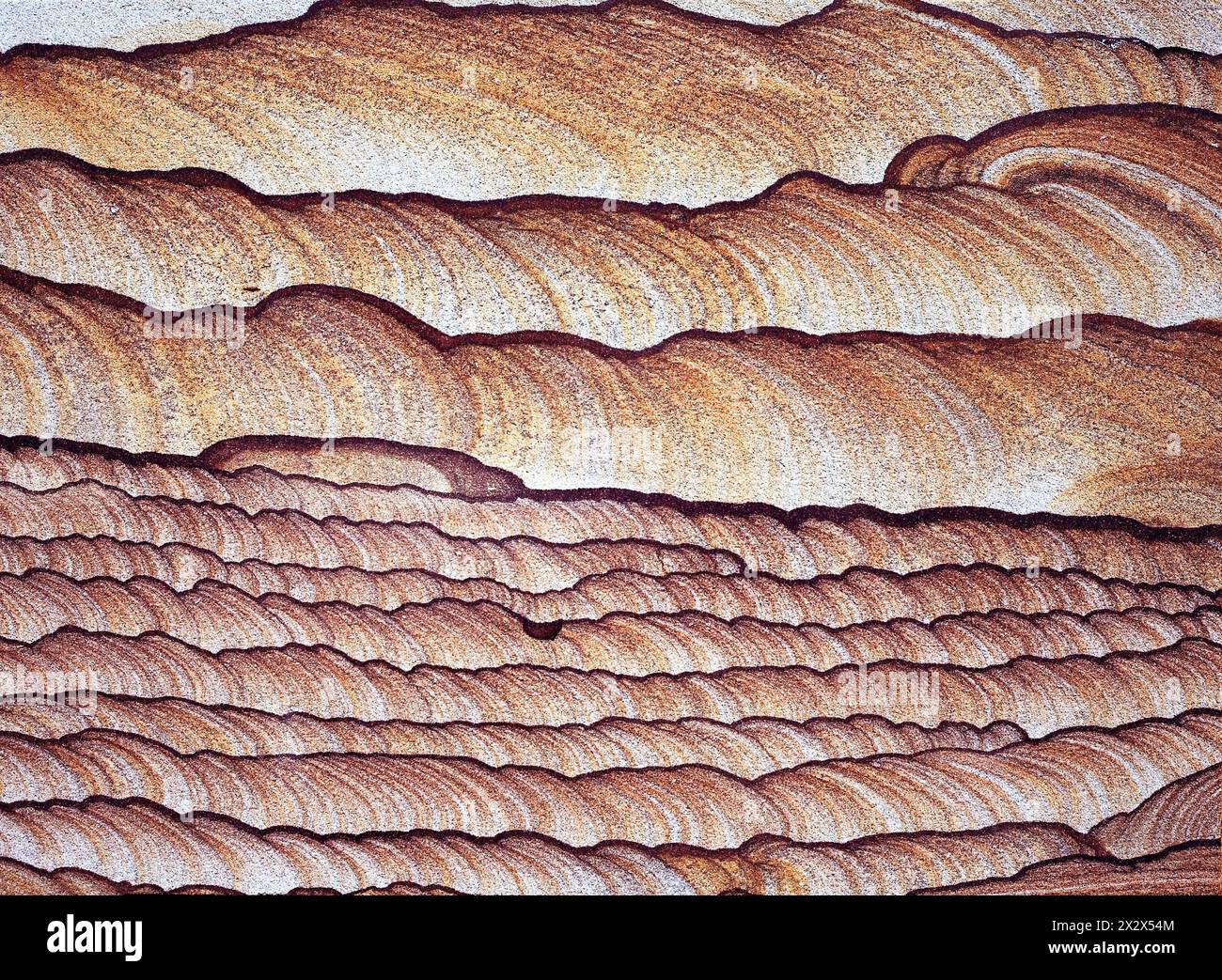 Fossil ripple marks preserved in a slab of sandstone from the Jurassic ...