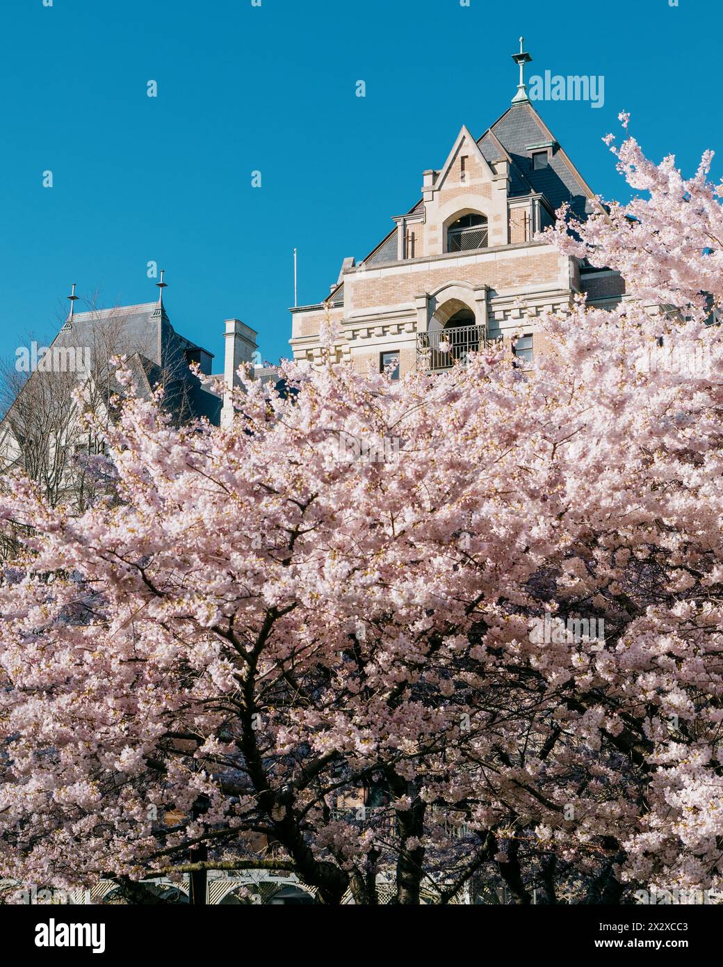 Victoria, Canada - Mar 17 2024: The top of the Empress Hotel behind ...