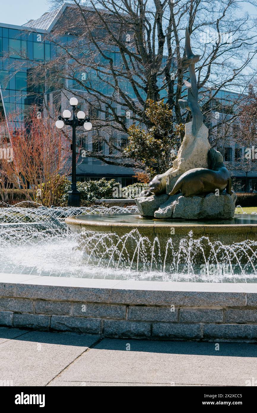 Downtown vancouver water fountain hi-res stock photography and images ...