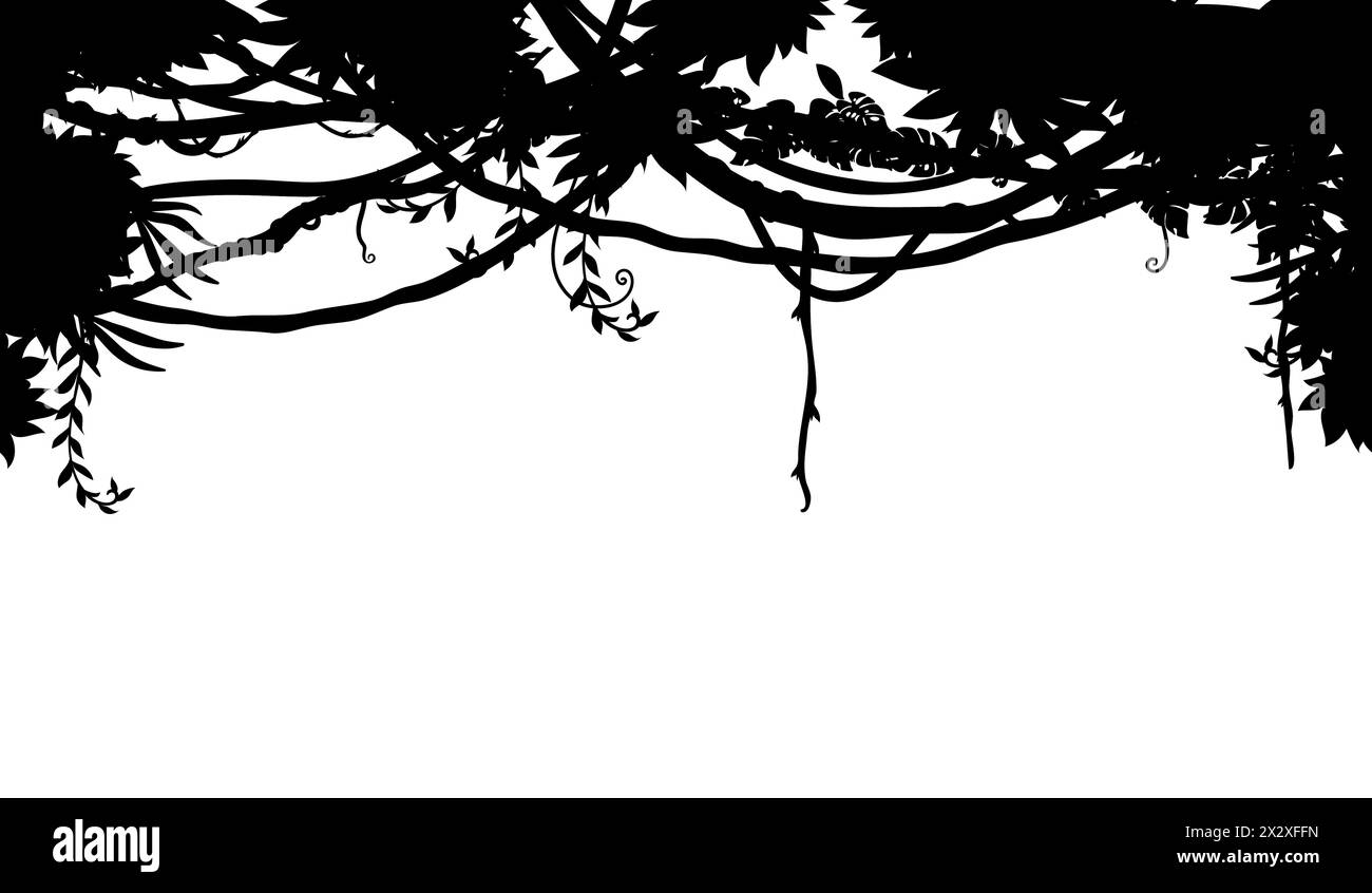 Tropical jungle liana branch vines silhouette background. Black vector ...