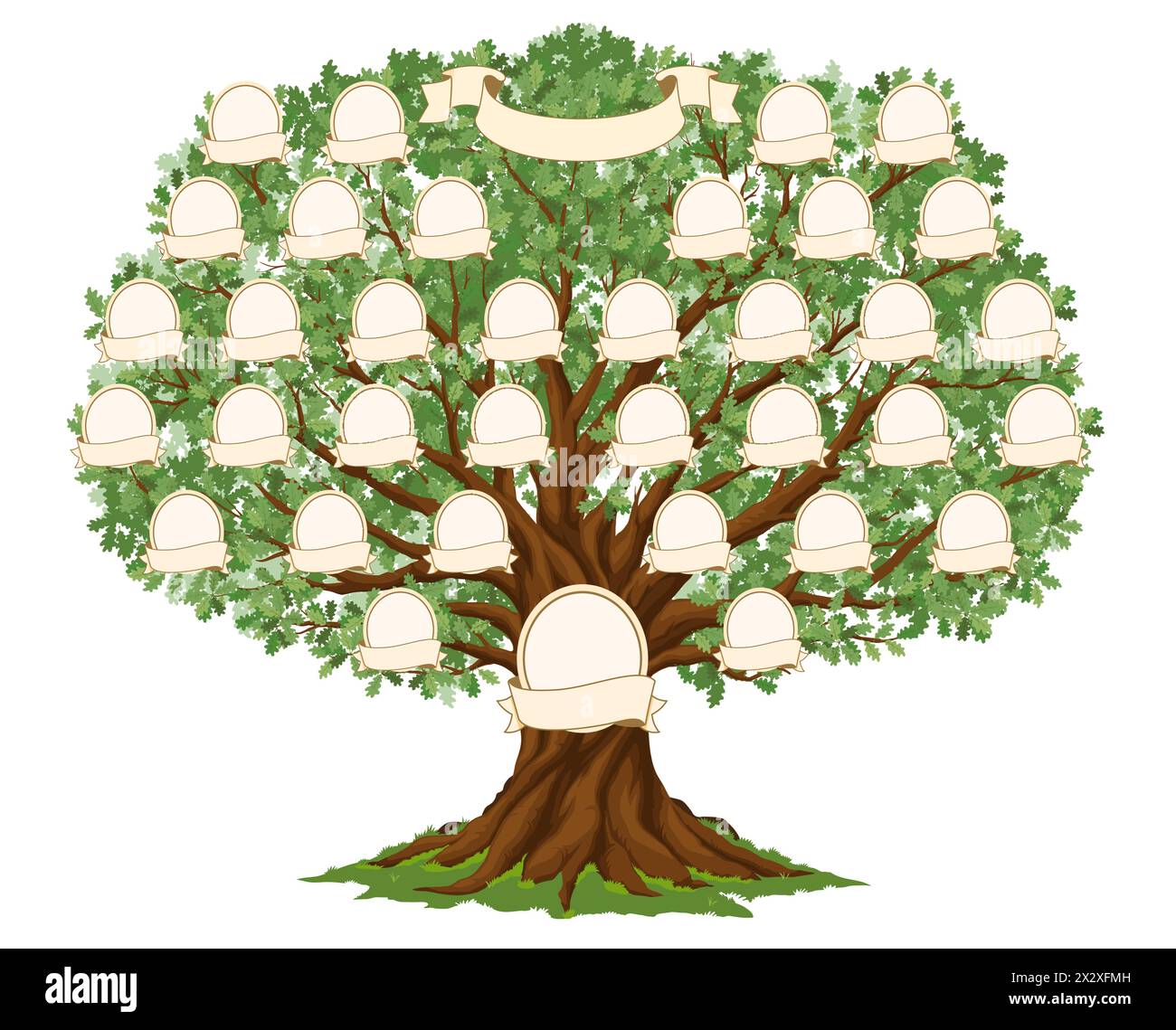 Genealogy family tree for ancestry history with photo frames on branches, vector template ...