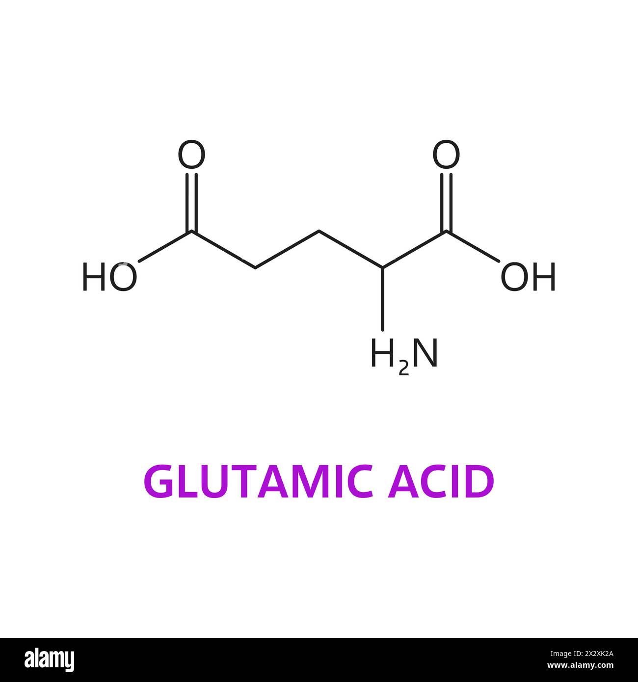 Glutamic amino acid chemical molecule, essential chain structure ...