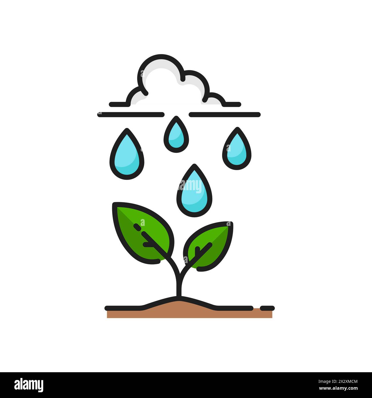 Rain tree seedling Stock Vector Images - Alamy