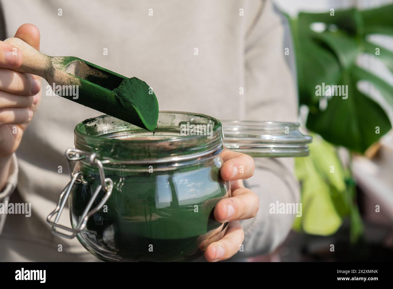 Female hands holding Organic blue-green algae spirulina detox powder in ...