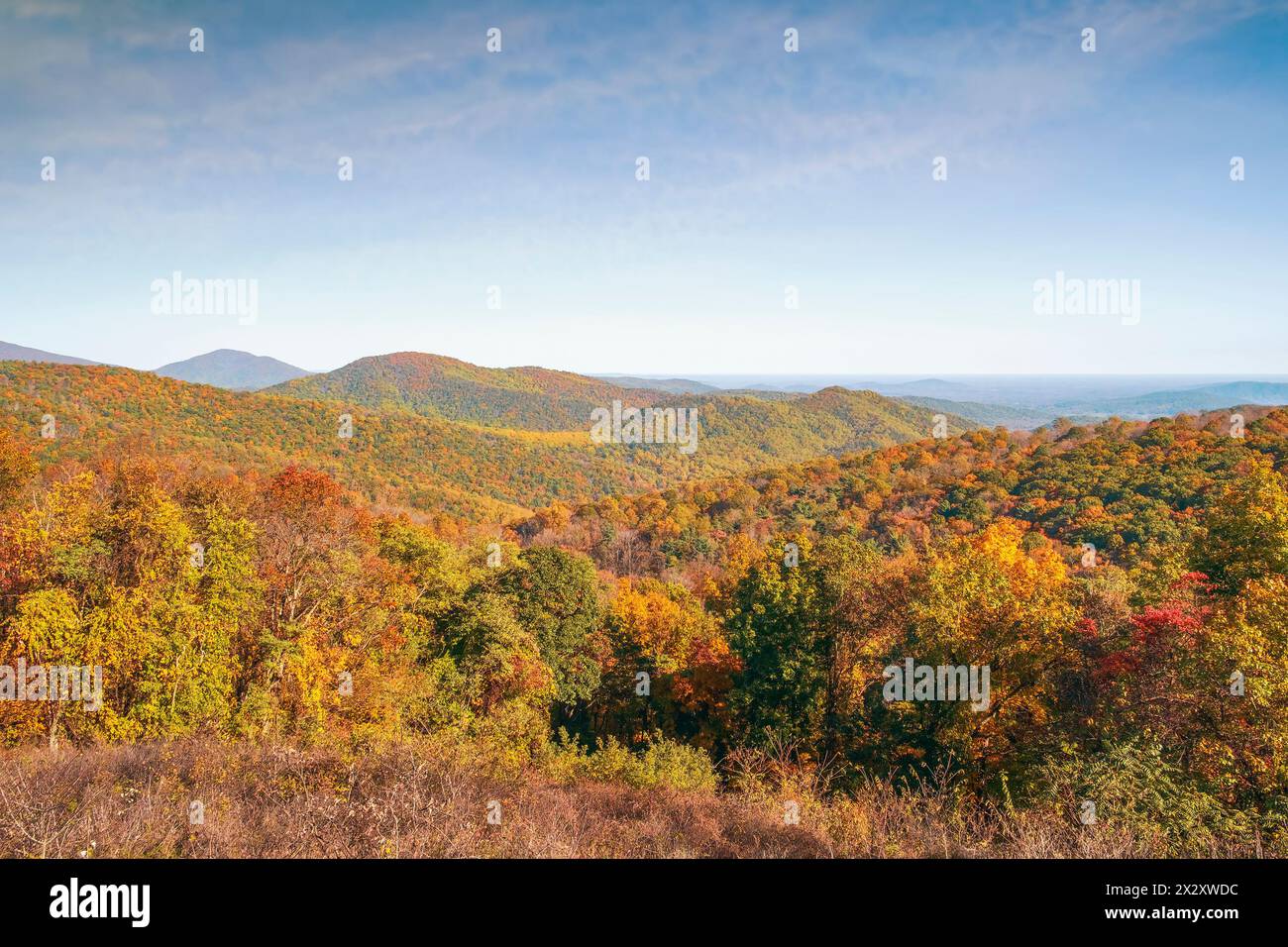 Fall foliage in Shenandoah National Park. Blue Ridge Mountains. Skyline ...