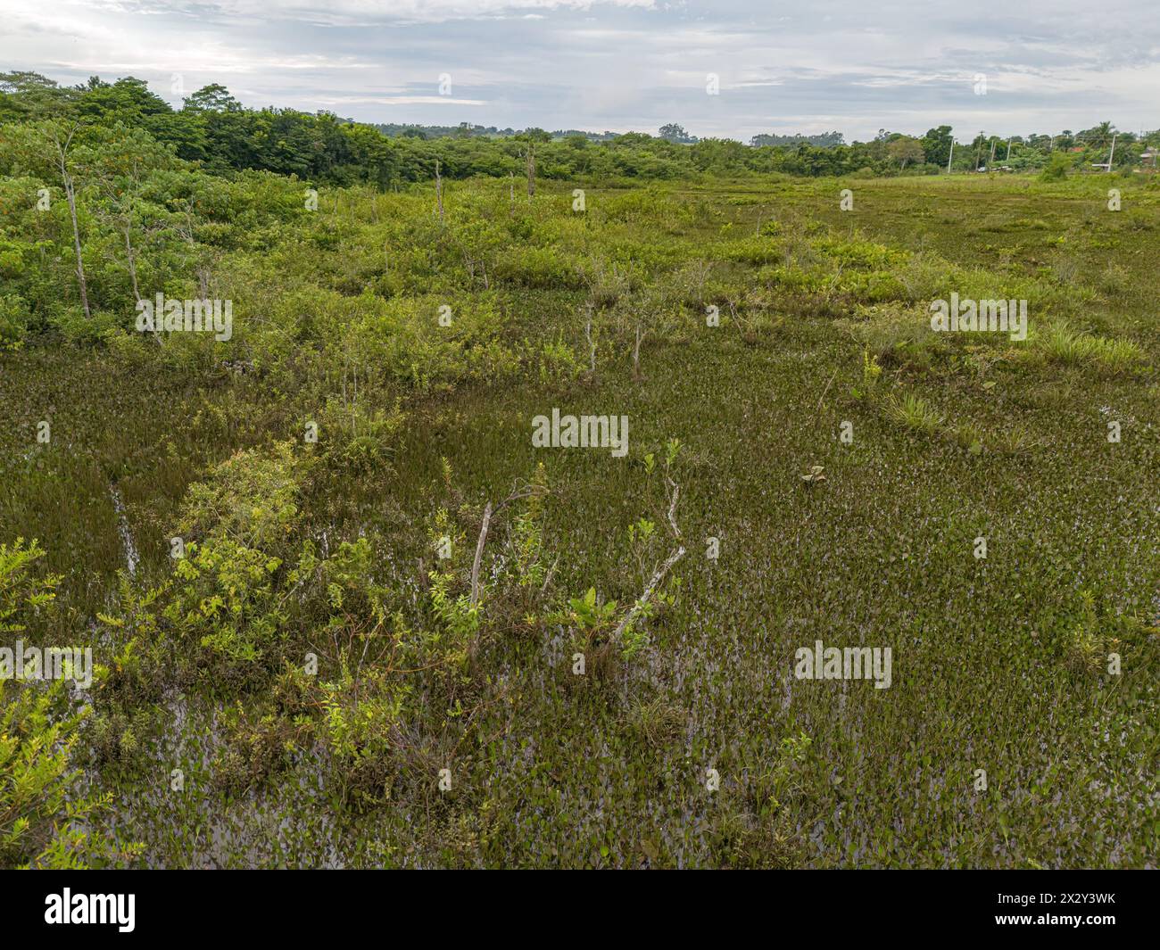 Ribeirao do cerrado hi-res stock photography and images - Alamy