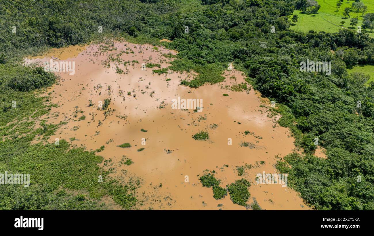 Aerial image of a marsh brown water around a stream and riparian forest ...