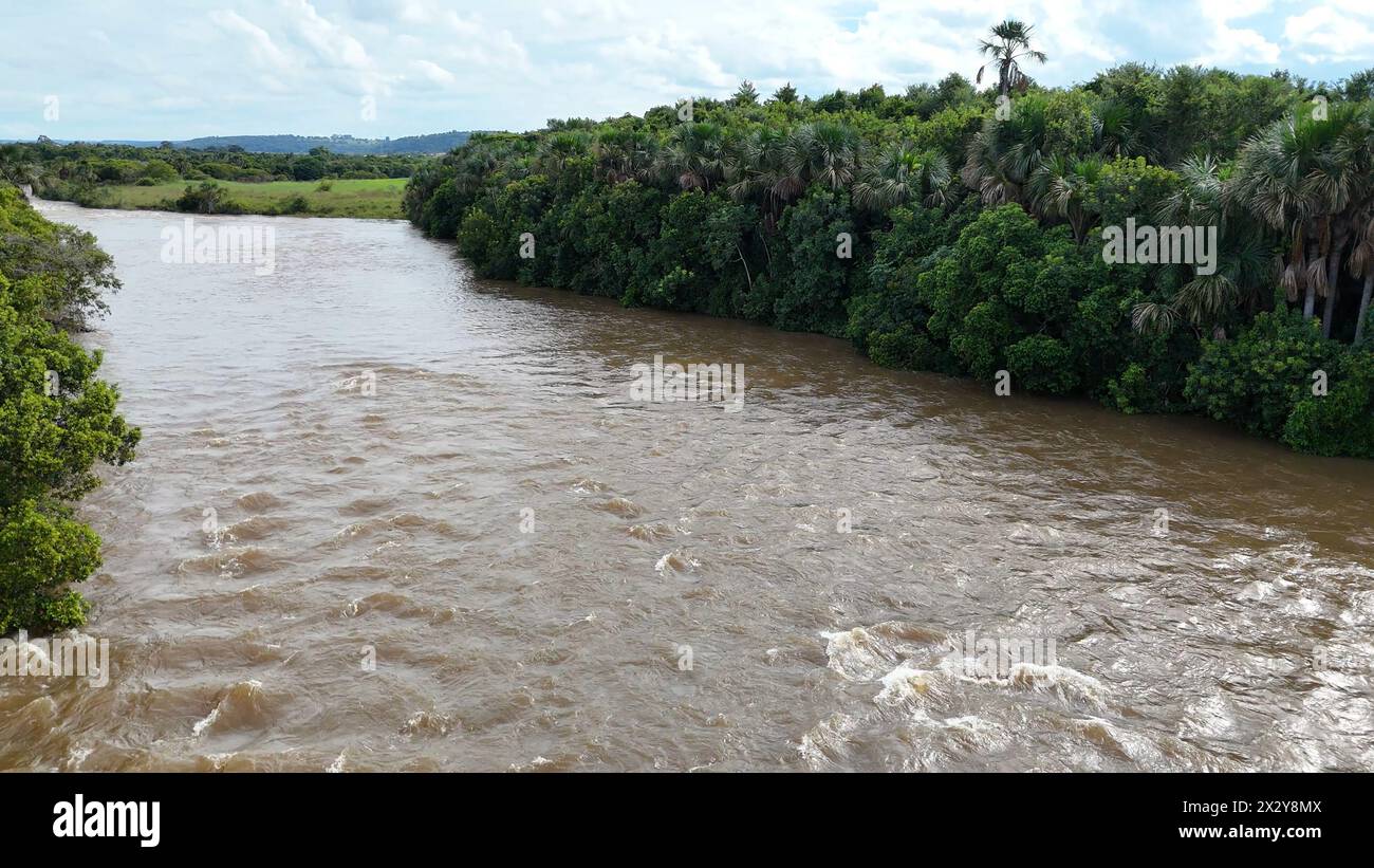 Aerial image of the apore river with brown water and riparian forest ...