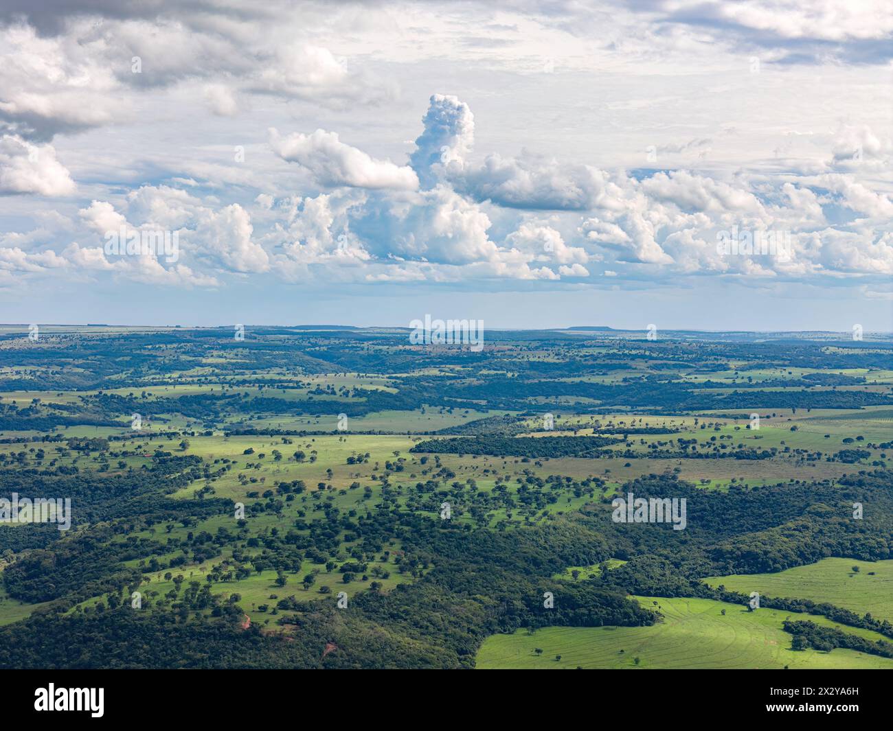 green fields farms rural area in the interior of Brazil Stock Photo - Alamy