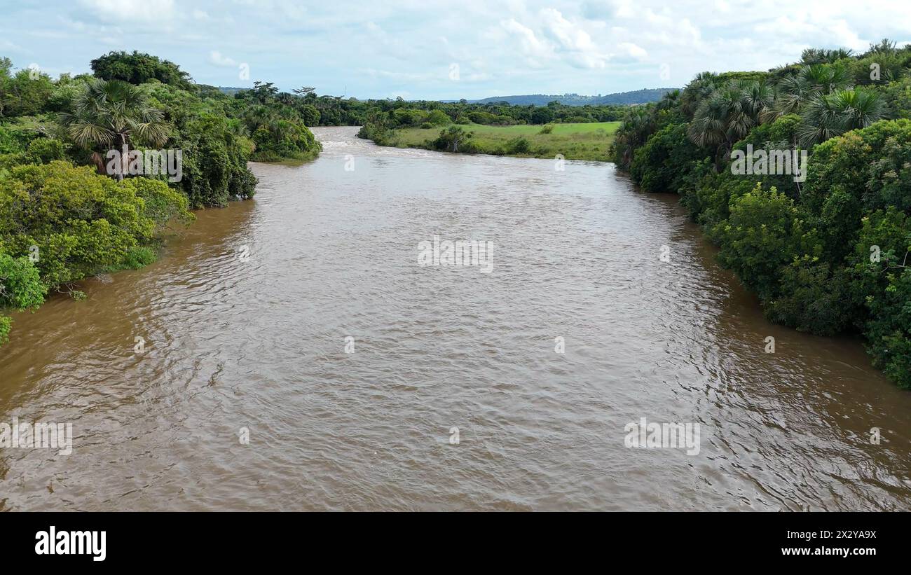 Aerial image of the apore river with brown water and riparian forest ...