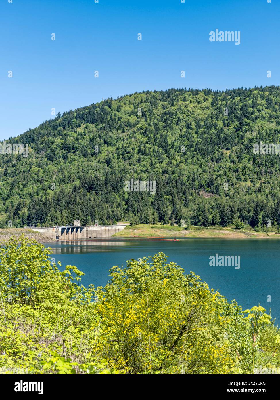 Forested mountains rise behind the Lookout Point Dam and reservoir near ...