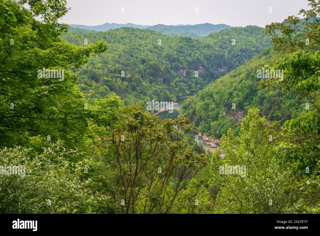 Overlook of the River at Gauley River National Recreation Area Popular ...