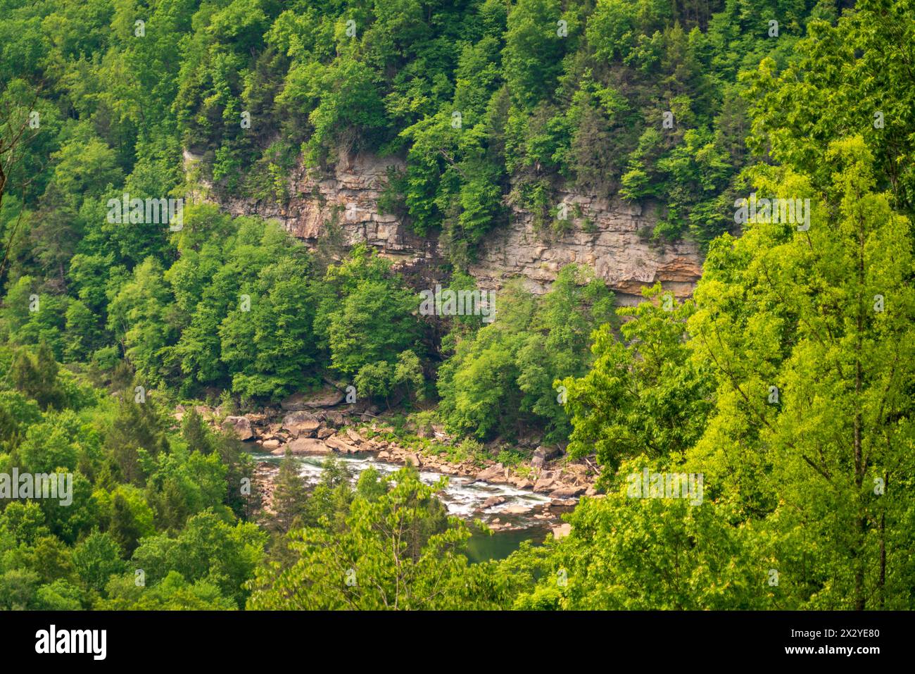 Overlook of the River at Gauley River National Recreation Area Popular ...