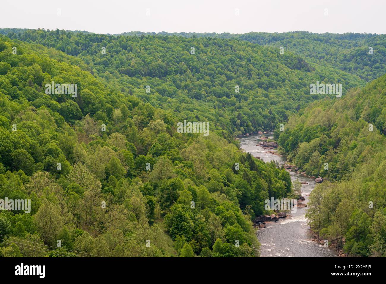 Overlook of the River at Gauley River National Recreation Area Popular ...