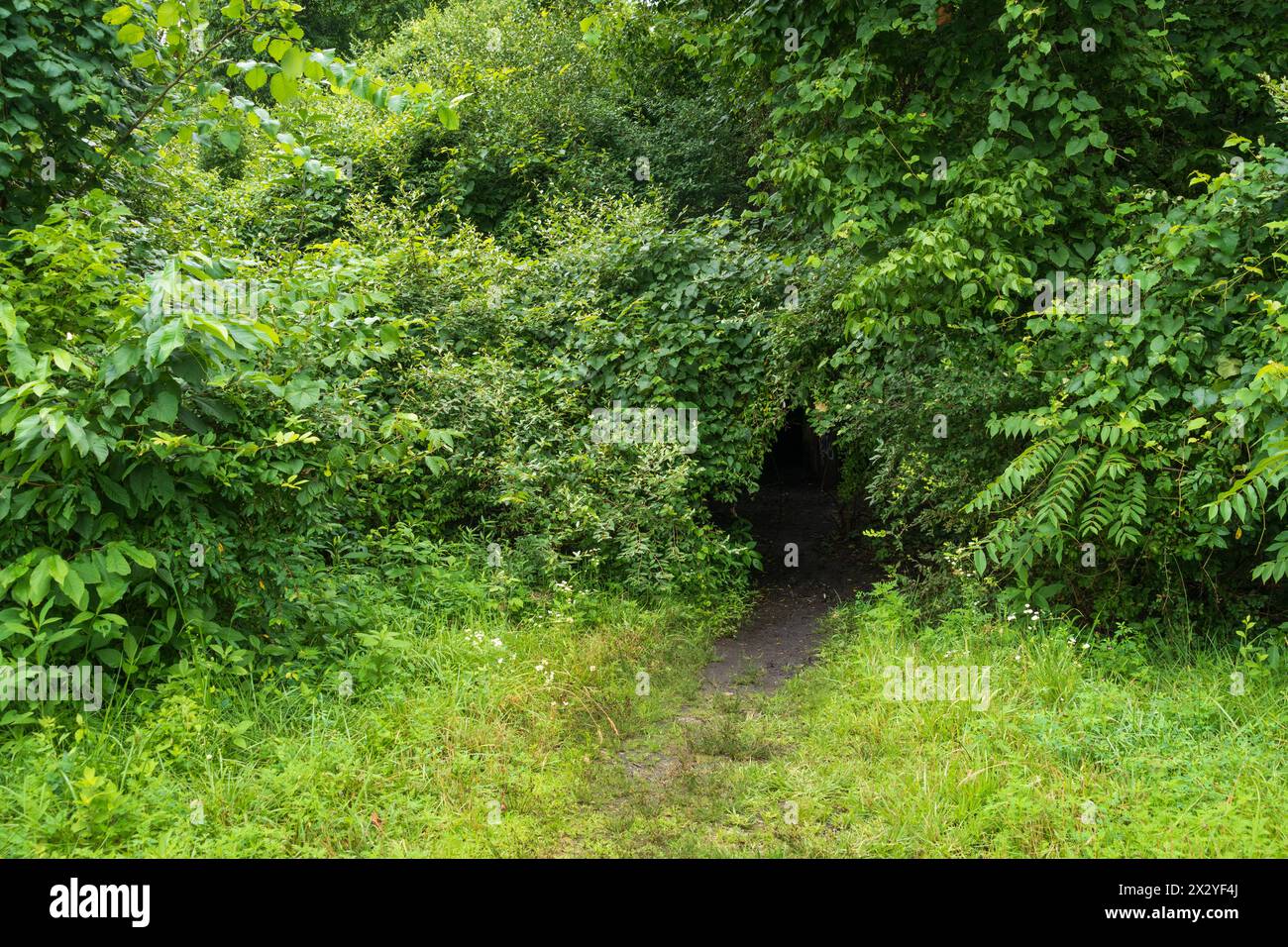 The TNT Area in Point Pleasant, West Virginia, USA Stock Photo - Alamy