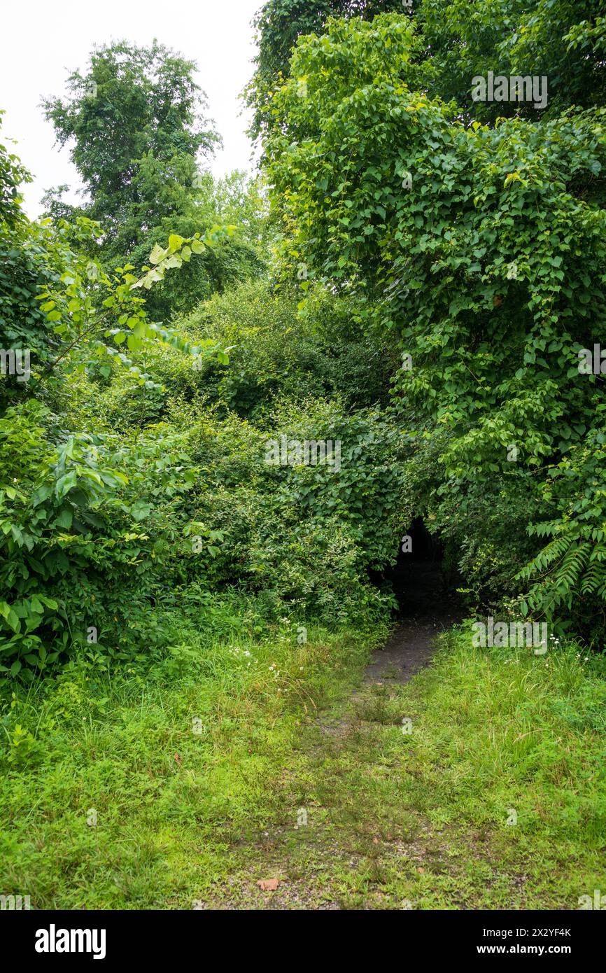 The TNT Area in Point Pleasant, West Virginia, USA Stock Photo - Alamy