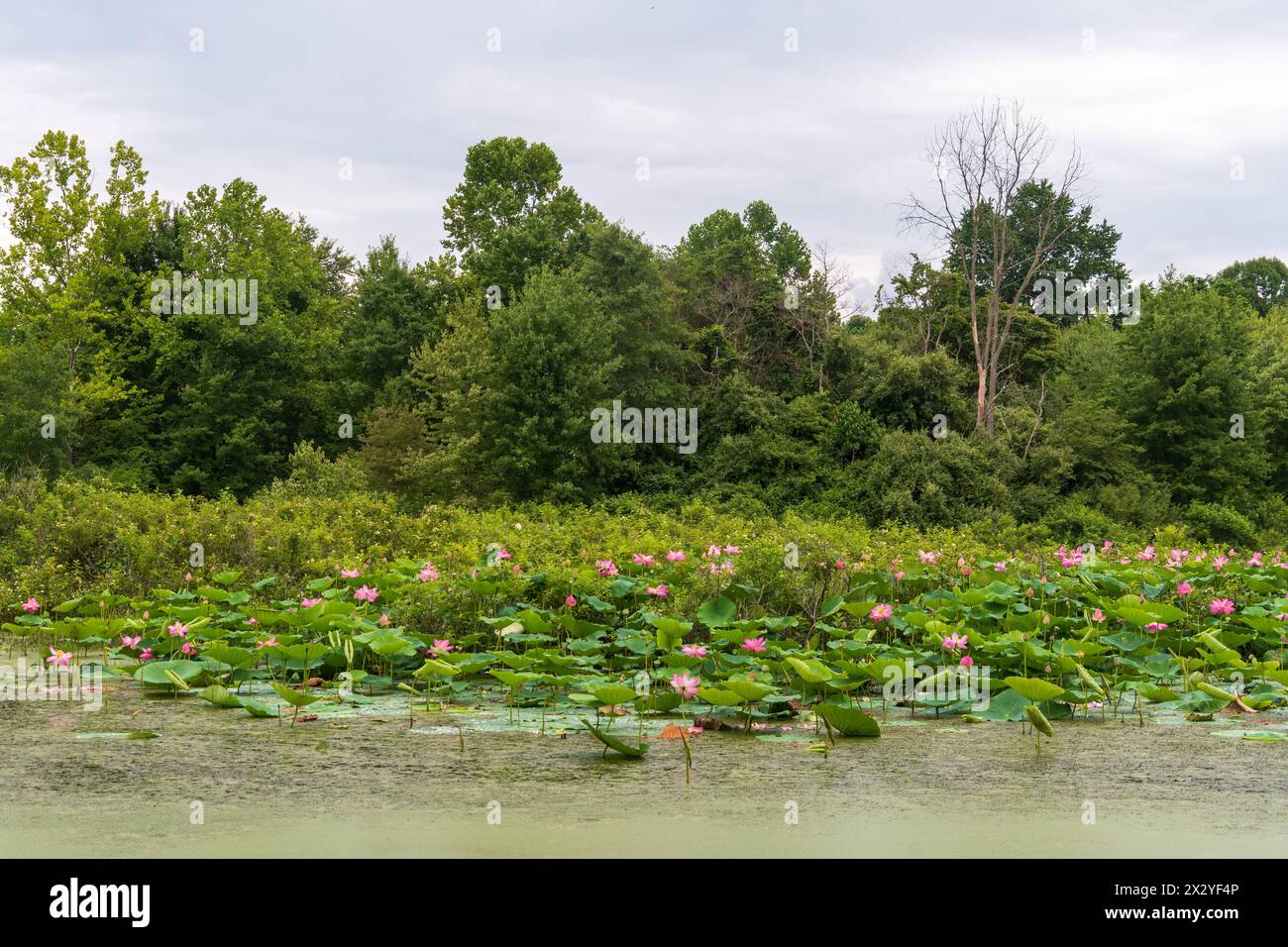 The TNT Area in Point Pleasant, West Virginia, USA Stock Photo - Alamy