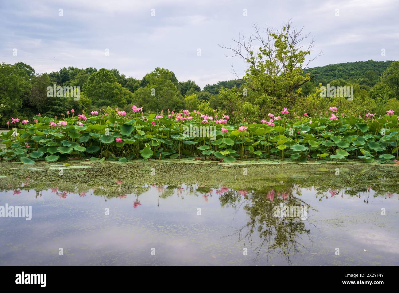 The TNT Area in Point Pleasant, West Virginia, USA Stock Photo - Alamy