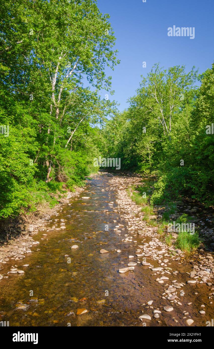 North Fork River at Spruce Knob-Seneca Rocks National Recreation Area ...