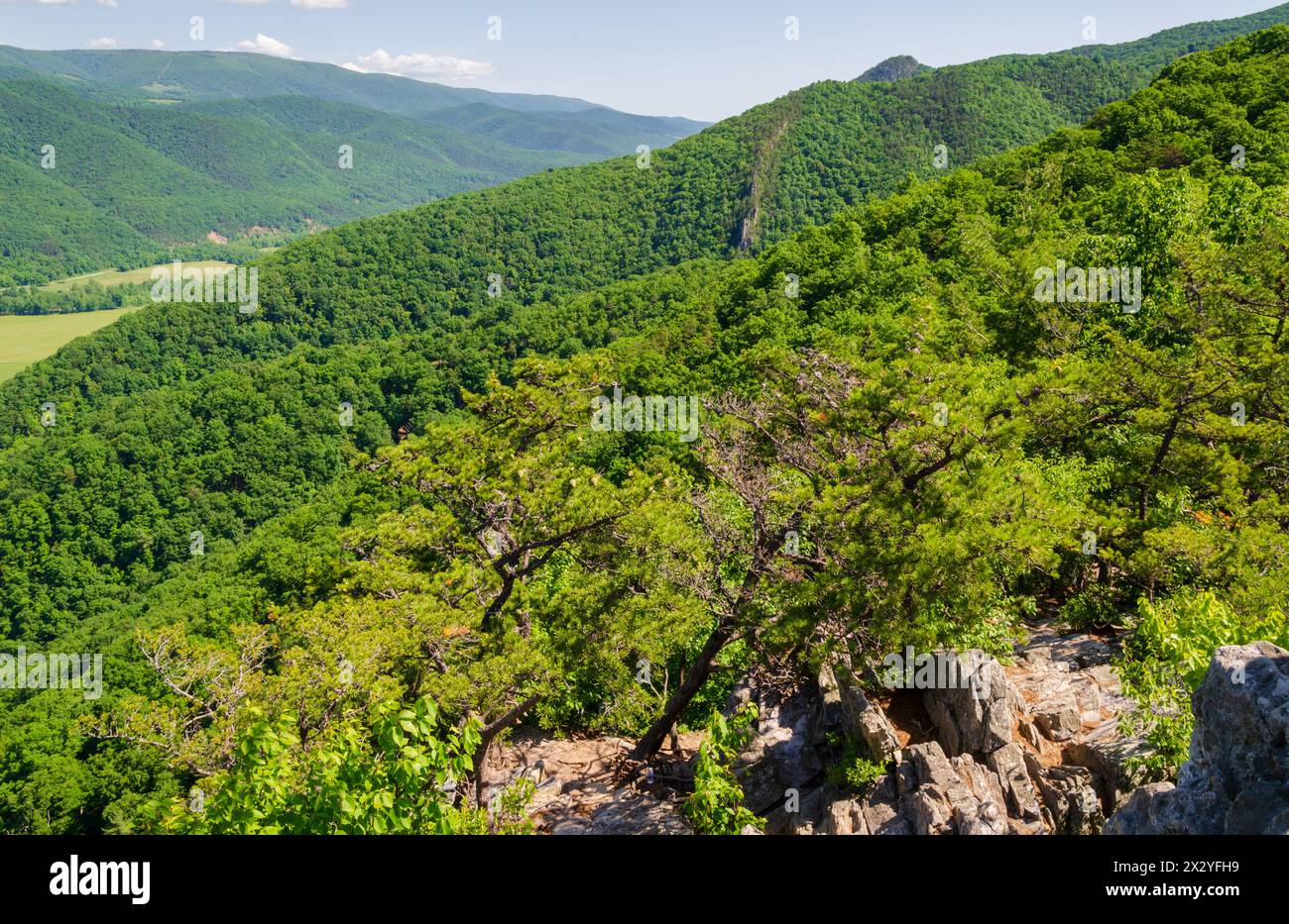 The Spruce Knob-Seneca Rocks National Recreation Area, Park in Riverton ...
