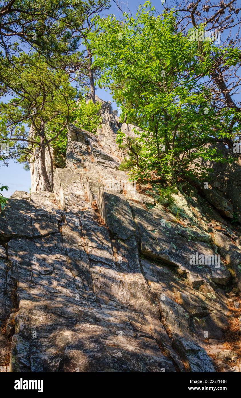 The Spruce Knob-Seneca Rocks National Recreation Area, Park in Riverton ...