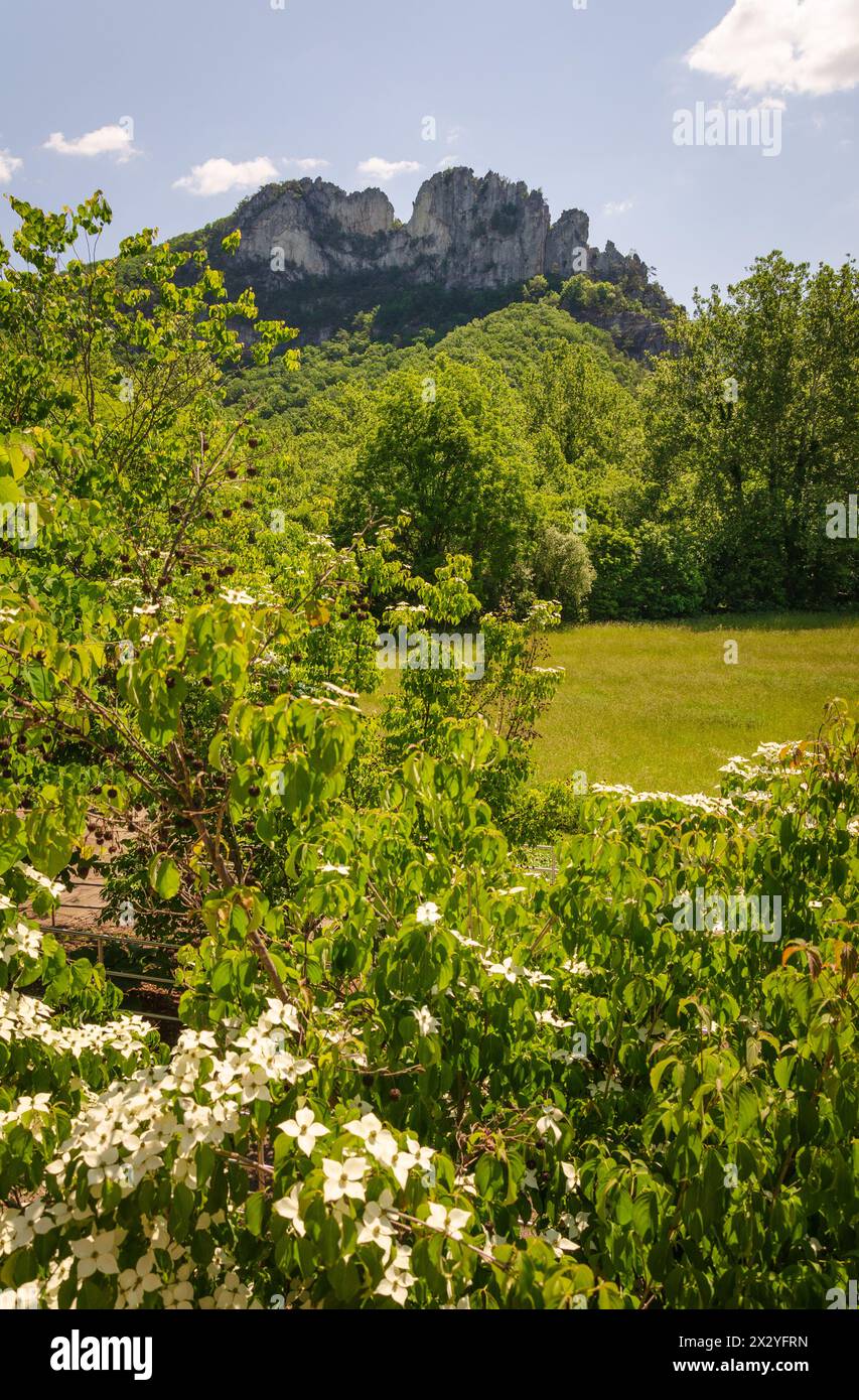 The Seneca Rocks, Rock Climbing Destination Spruce Knob-Seneca Rocks ...