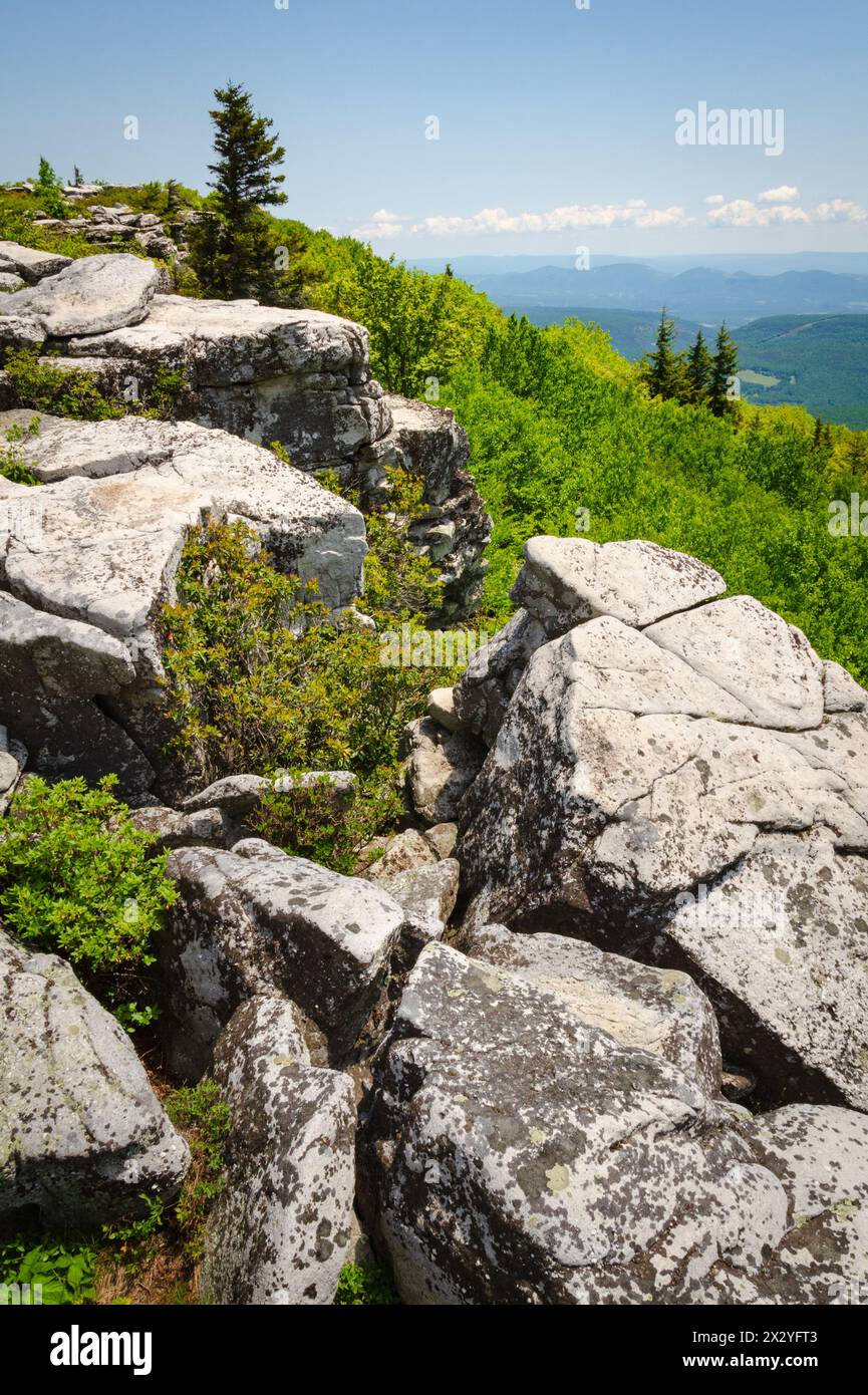 Bear Rocks Preserve, Nature preserve in West Virginia, USA Stock Photo ...
