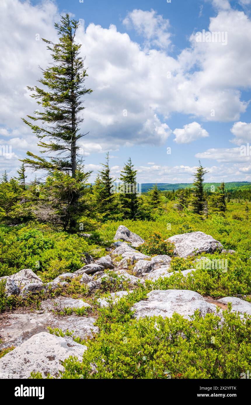 Hazy Overlook of the Mountains at Bear Rocks Preserve, Nature preserve ...