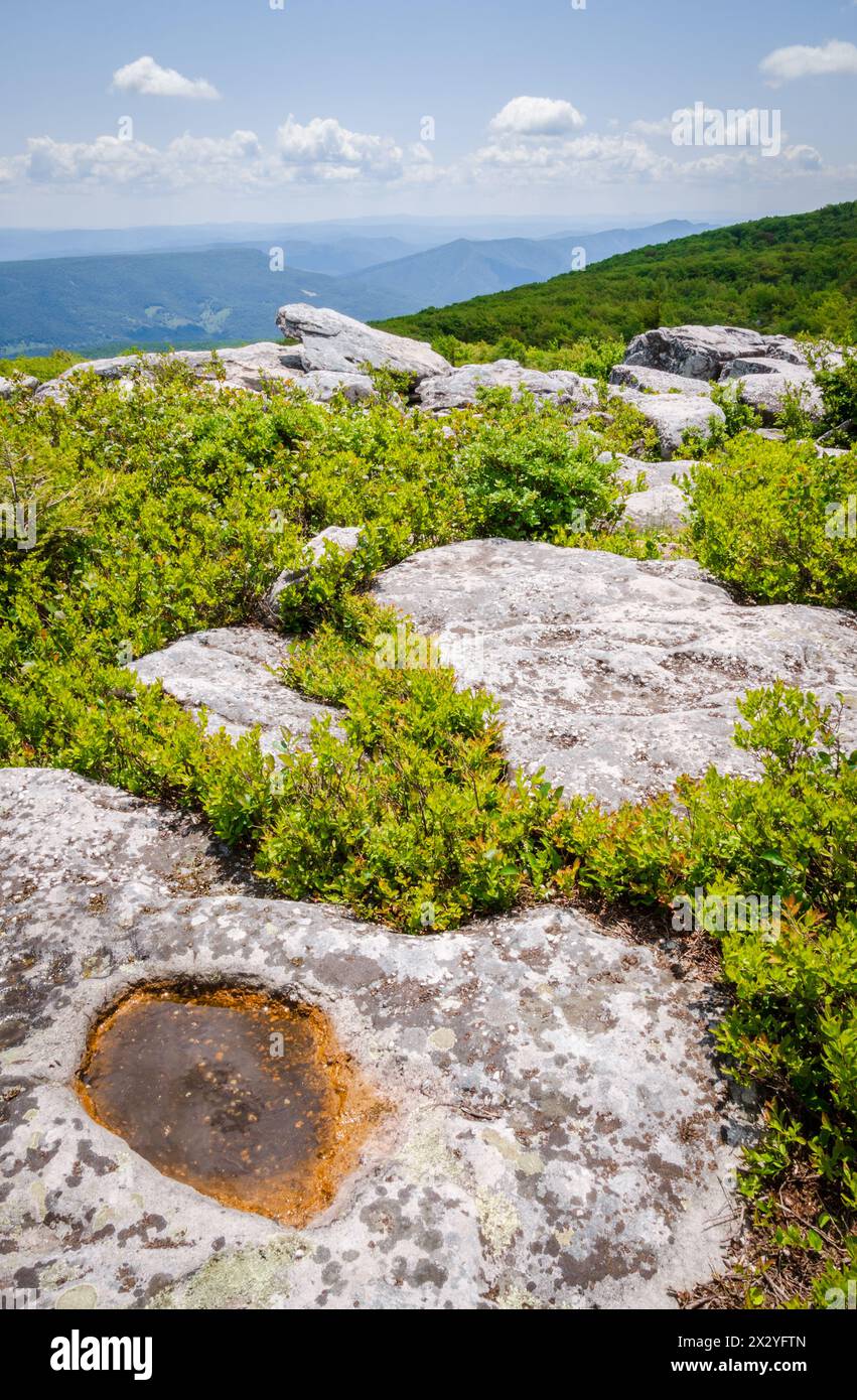 Hazy Overlook of the Mountains at Bear Rocks Preserve, Nature preserve ...
