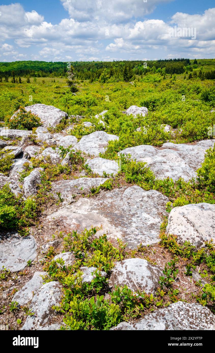 Bear Rocks Preserve, Nature preserve in West Virginia, USA Stock Photo ...
