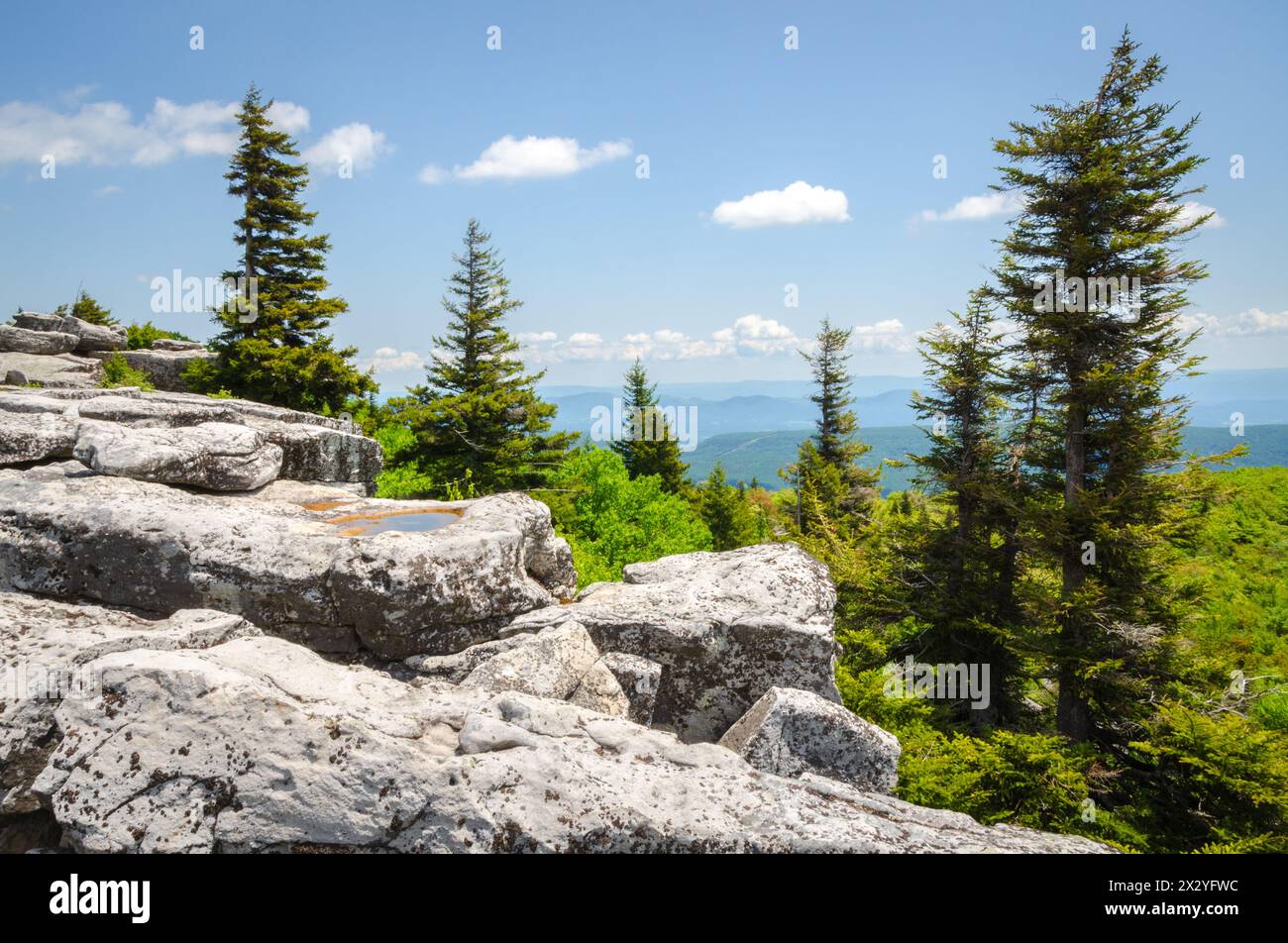 Hazy Overlook of the Mountains at Bear Rocks Preserve, Nature preserve ...