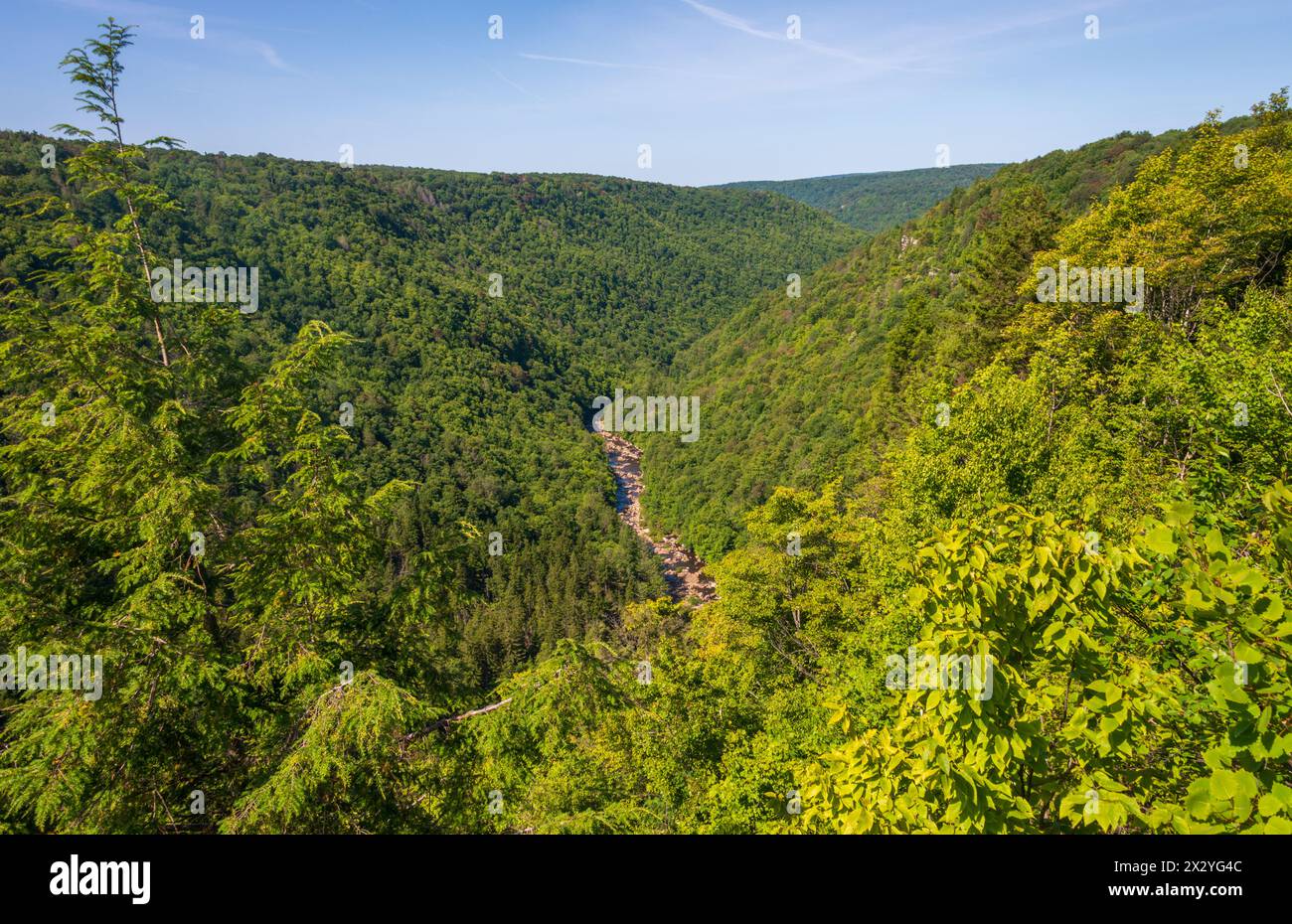 Overlook at Blackwater Falls State Park in West Virginia, USA Stock ...