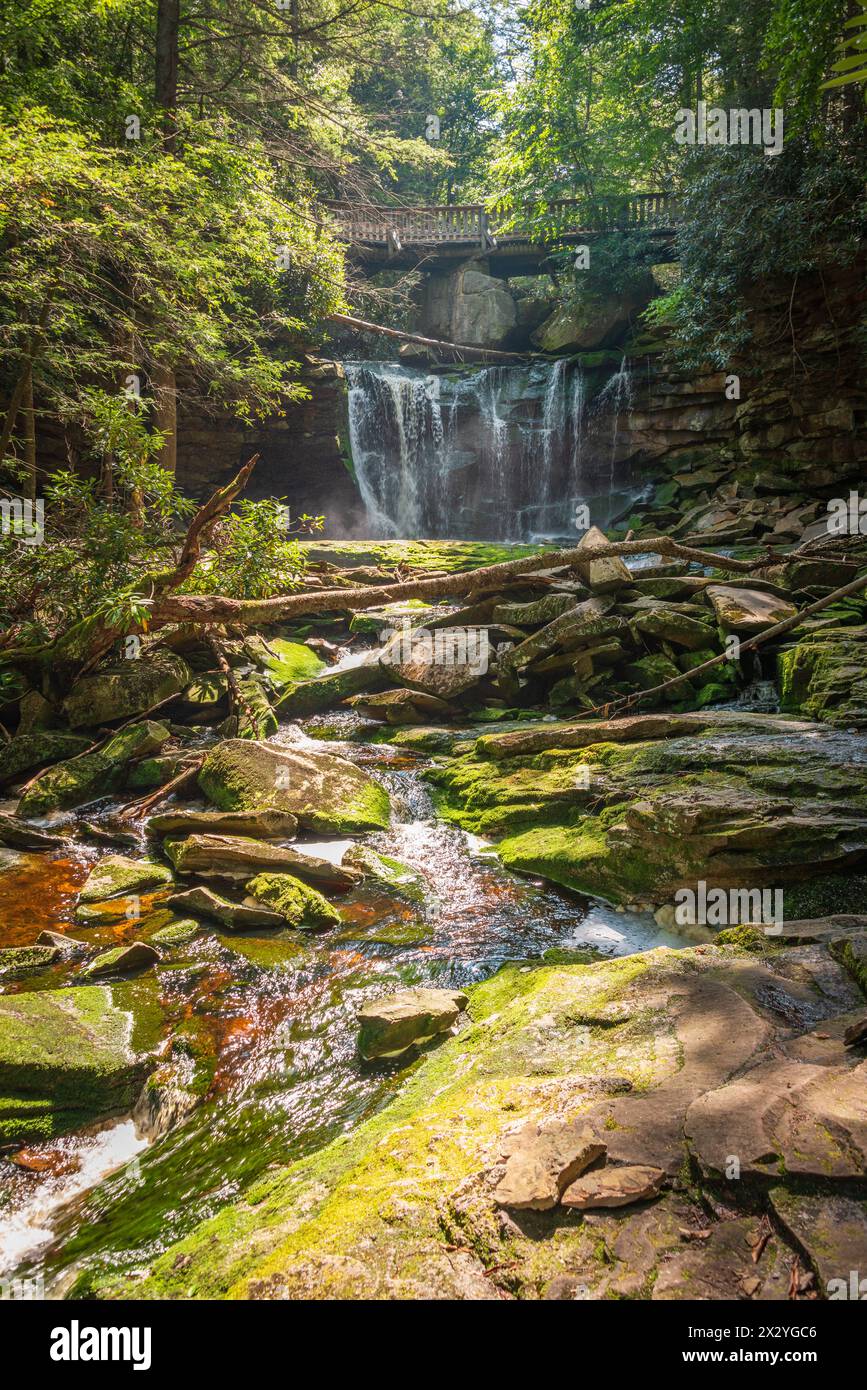 Elakala Falls at Blackwater Falls State Park in West Virginia, USA ...