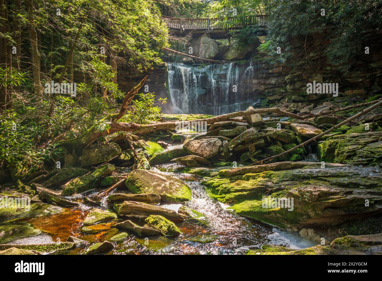 Elakala Falls at Blackwater Falls State Park in West Virginia, USA ...