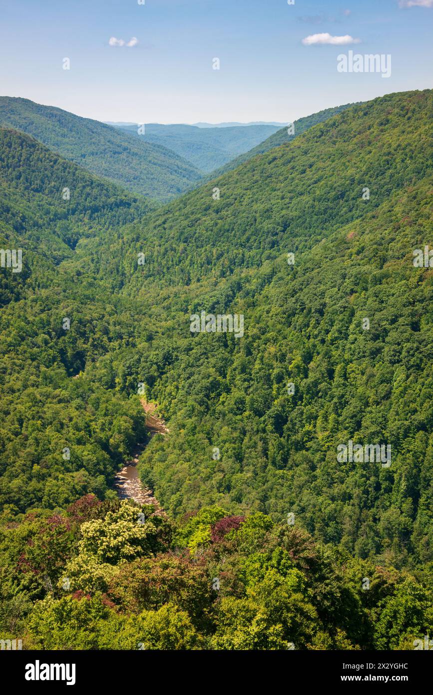 Overlook at Blackwater Falls State Park in West Virginia, USA Stock ...