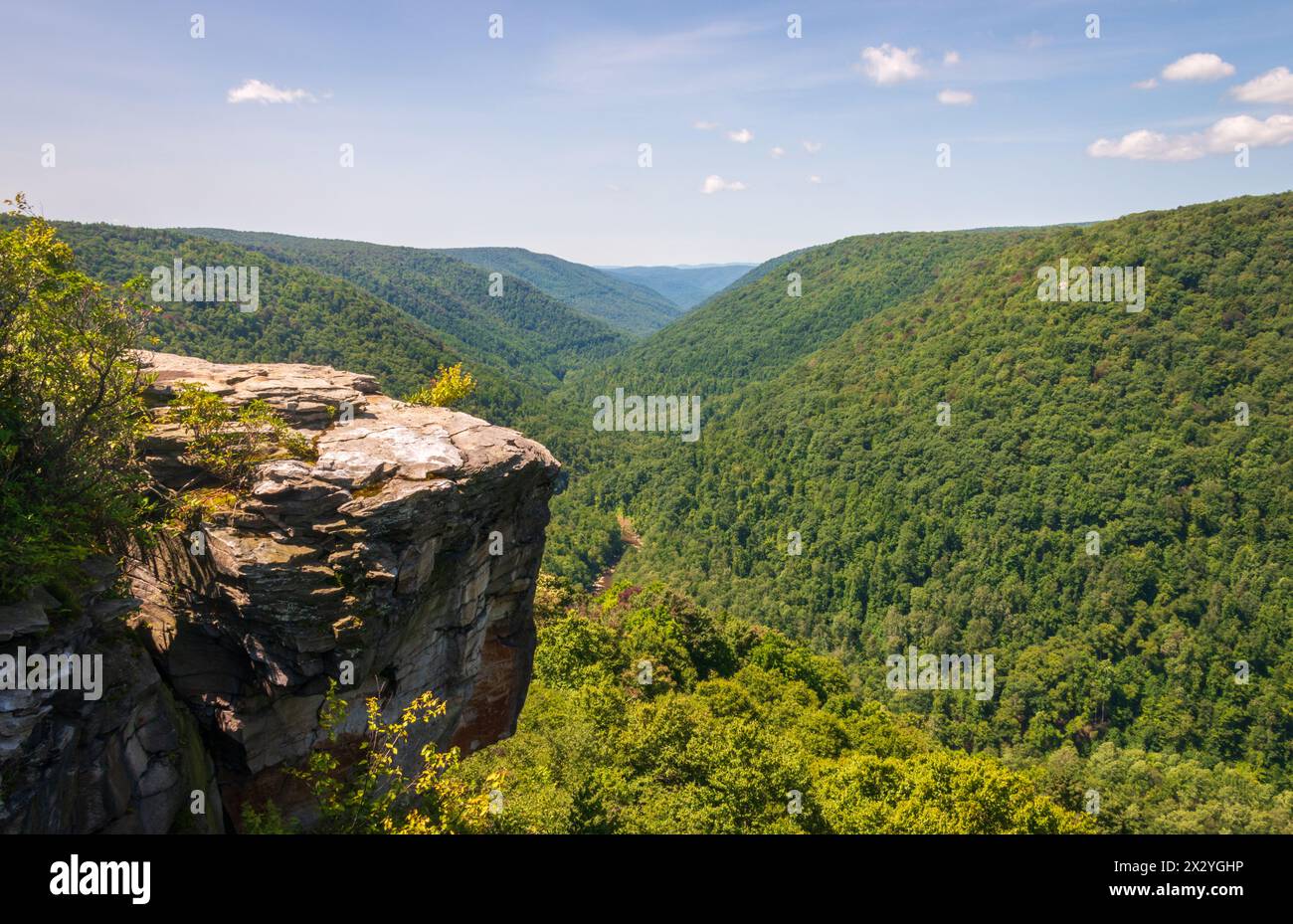 Overlook at Blackwater Falls State Park in West Virginia, USA Stock ...