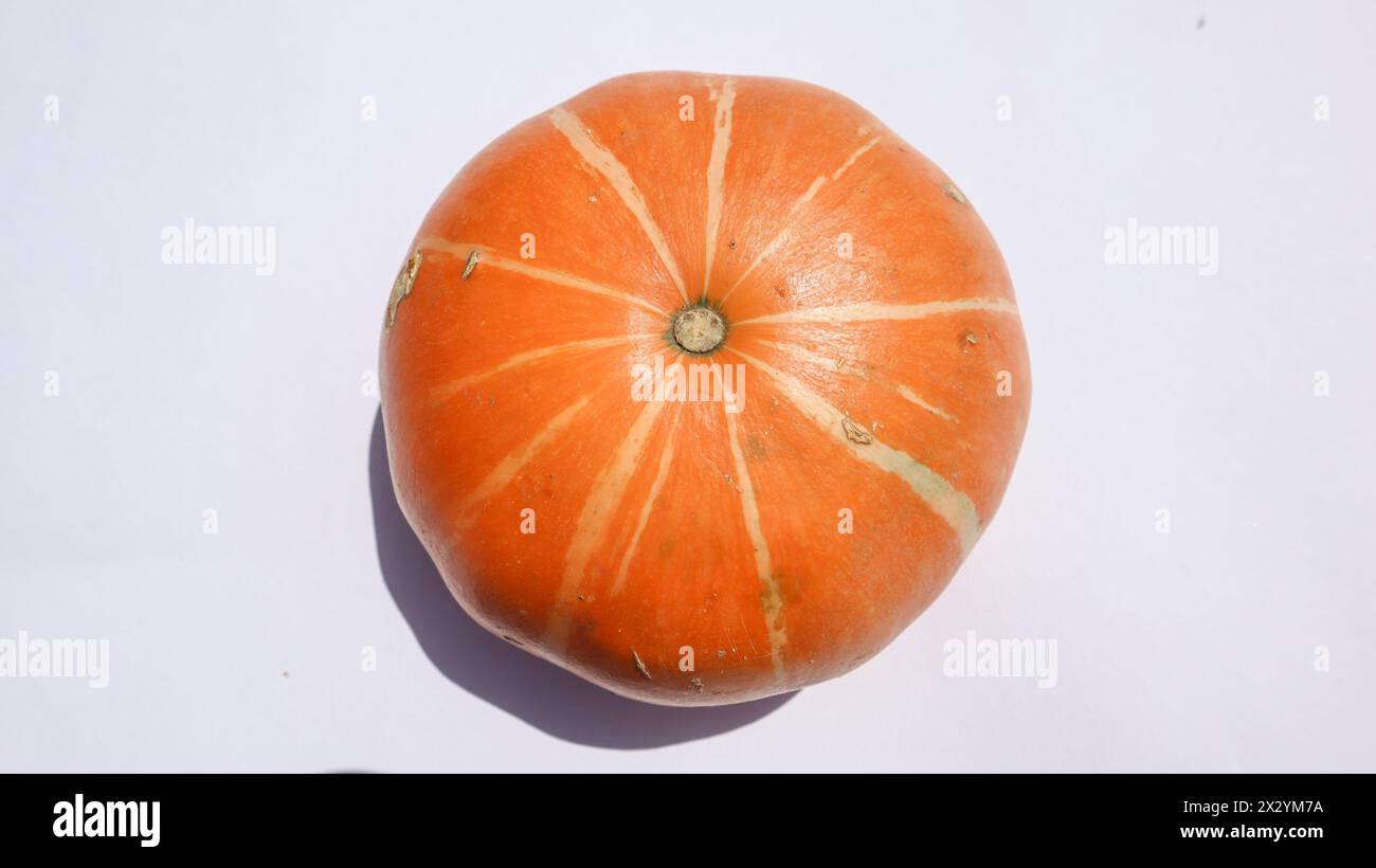Top view of Baby Pumpkin or Small pumpkin also called Disco pumpkin is ...