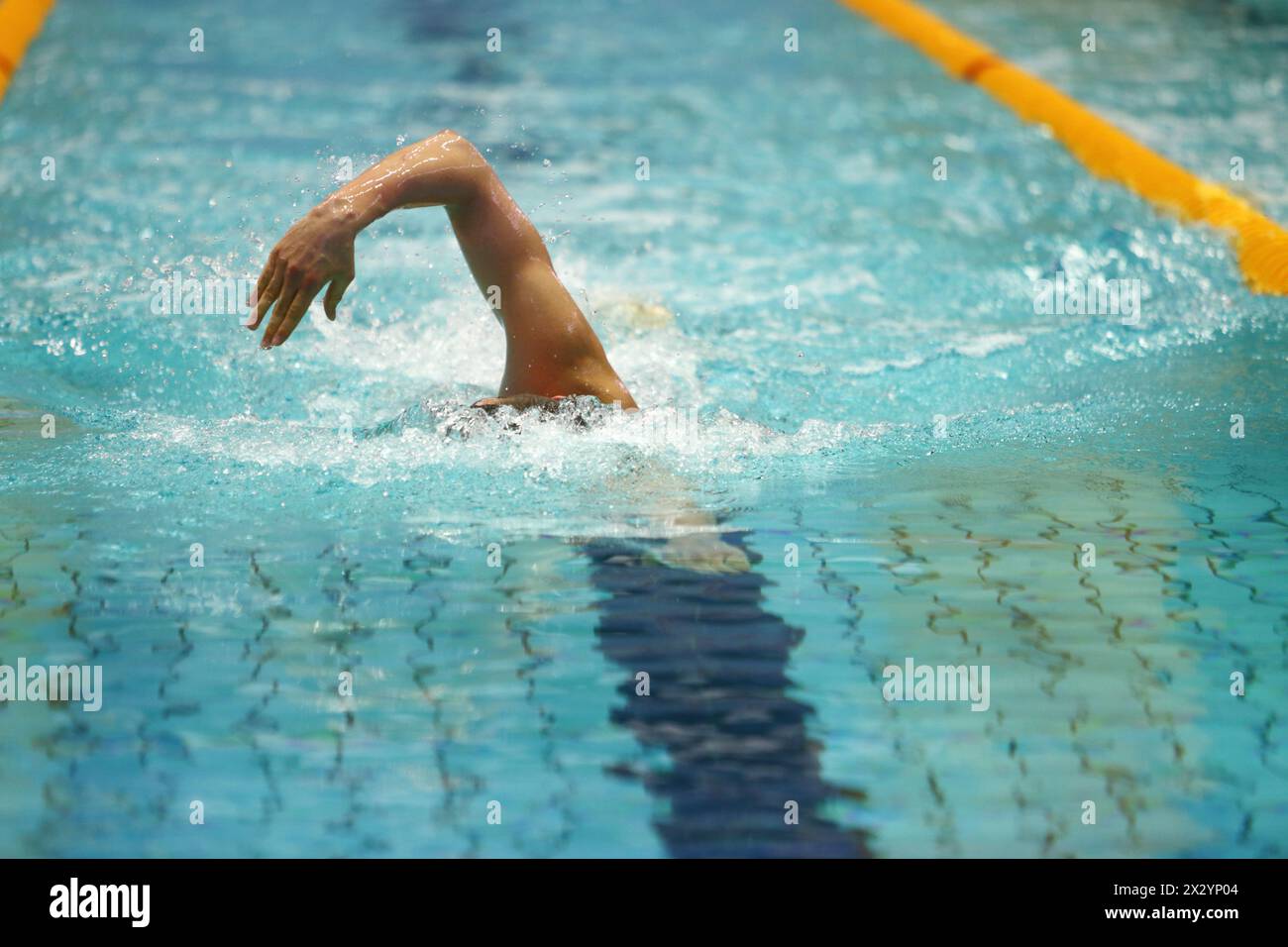 Professional swimmer swims in crawl hi-res stock photography and images ...