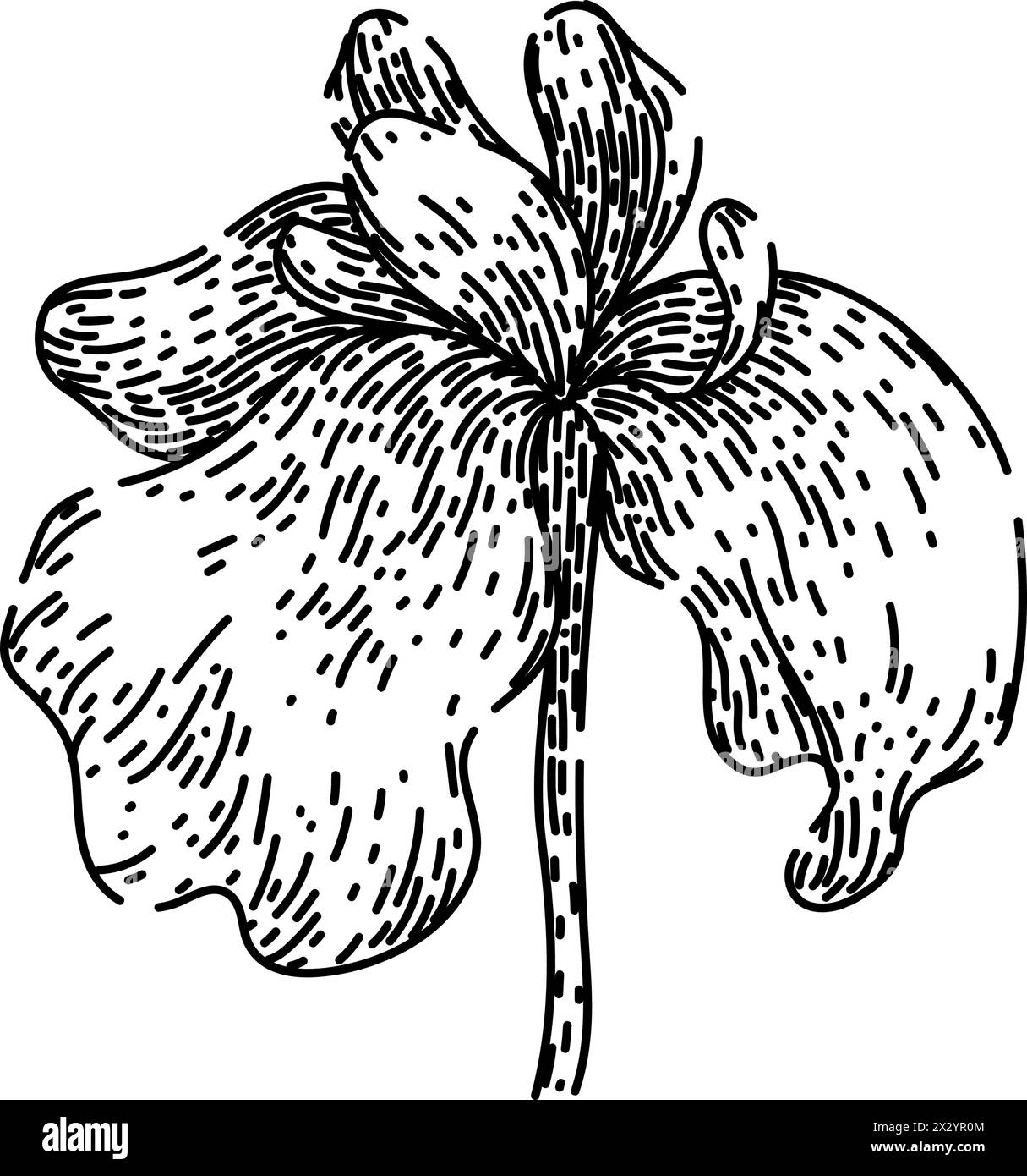 purple iris sketch hand drawn vector Stock Vector Image & Art - Alamy