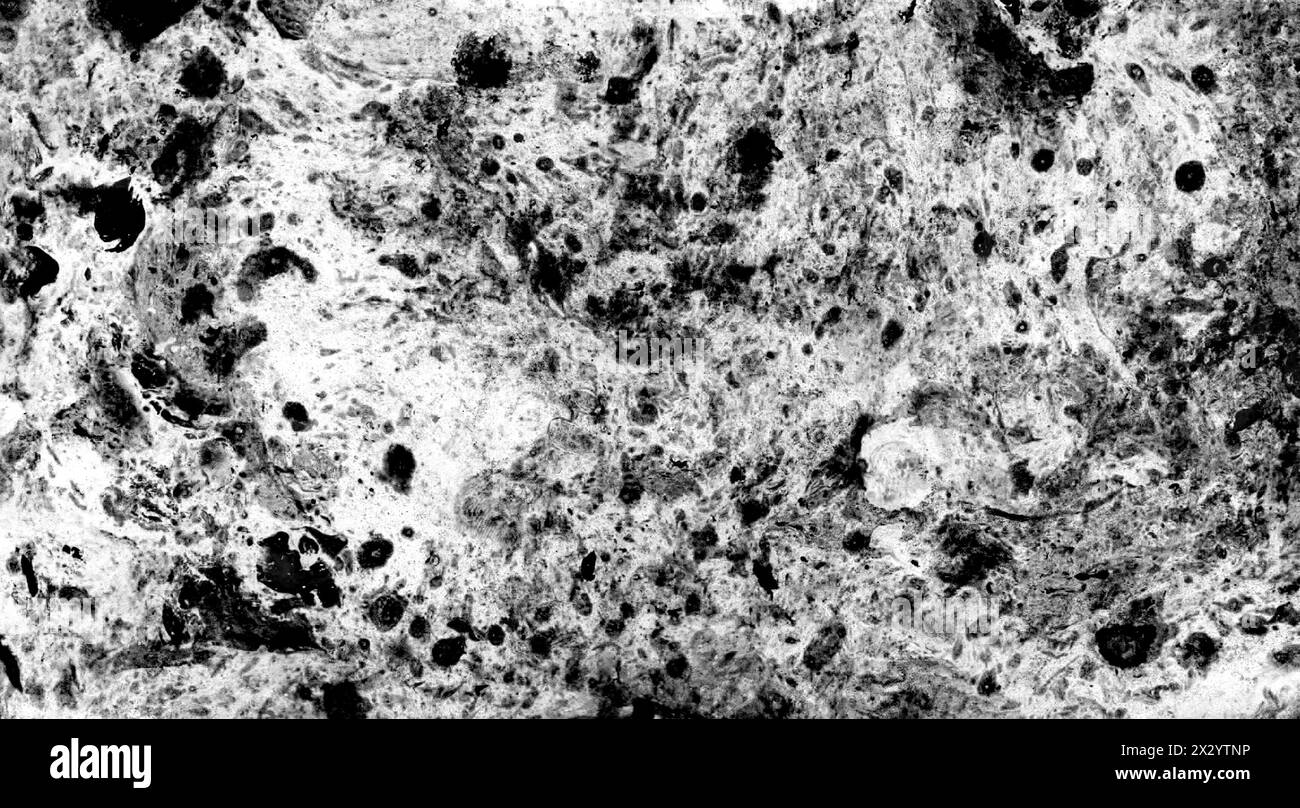 Abstract texture background. Black drops and spots of various sizes ...